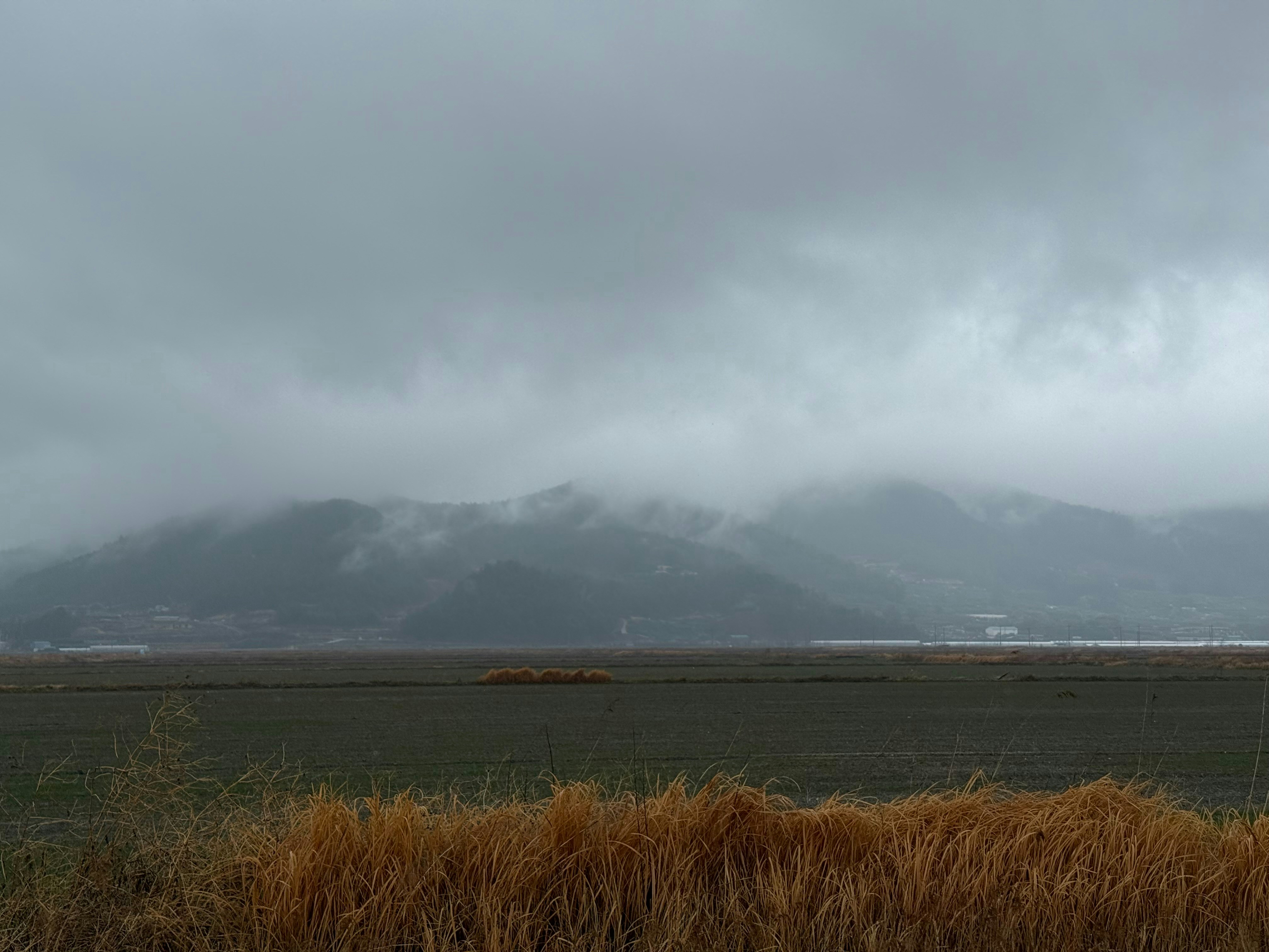 Low Horizon, Misty Ridge