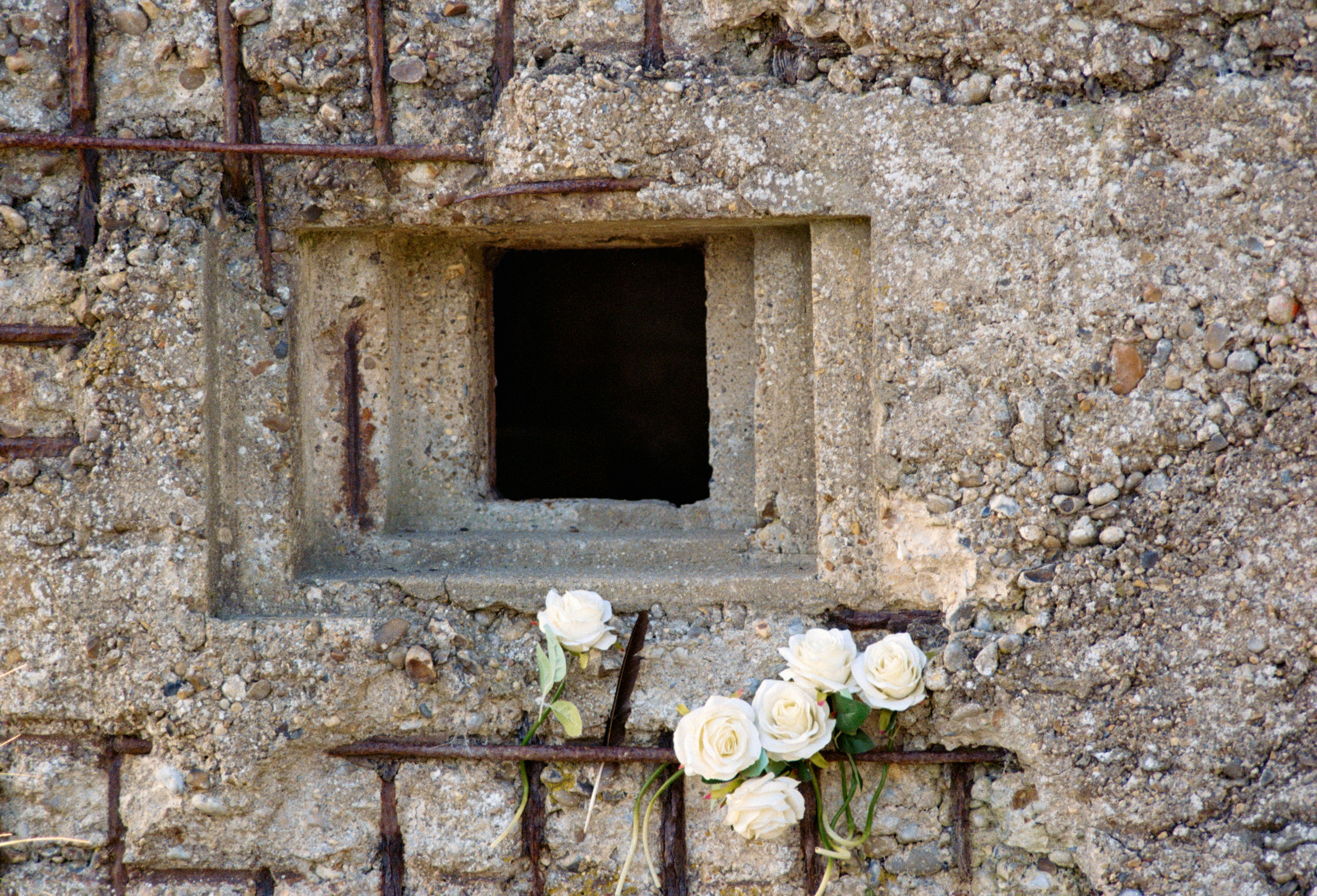 White roses against a weathered stone wall with a square window