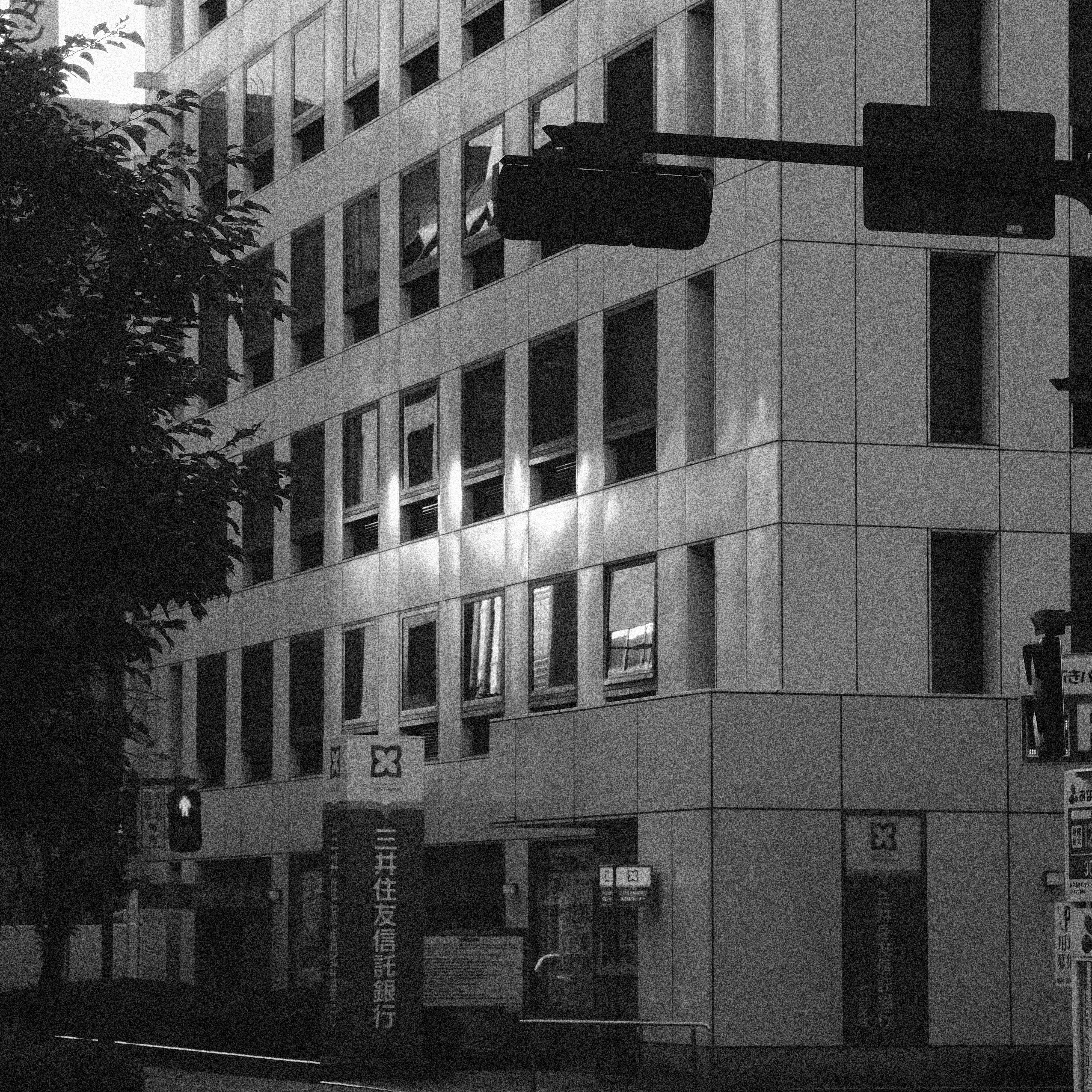 Glass-and-Steel Facade in Quiet Urban Rhythm