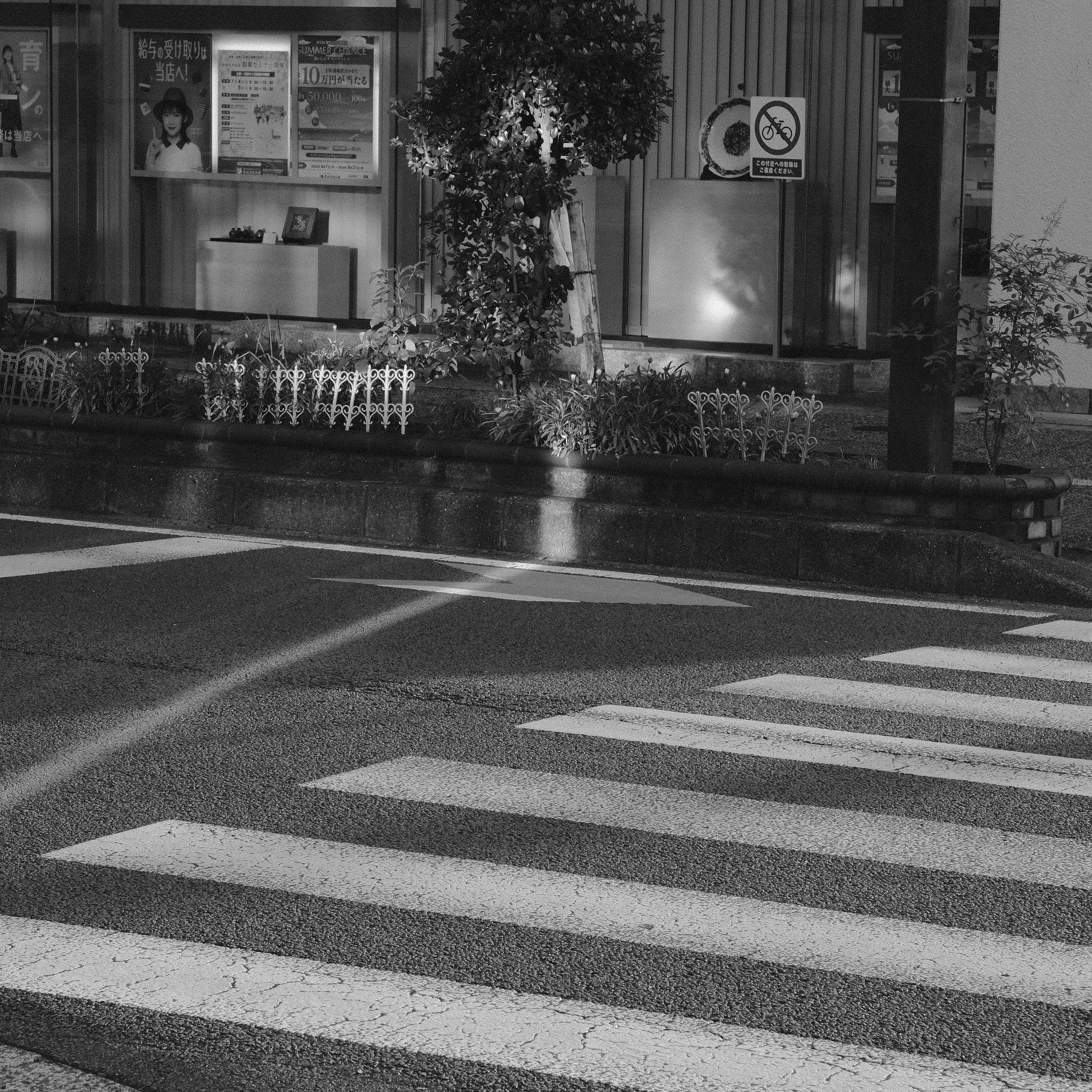 Urban Crosswalk in Monochrome Quiet