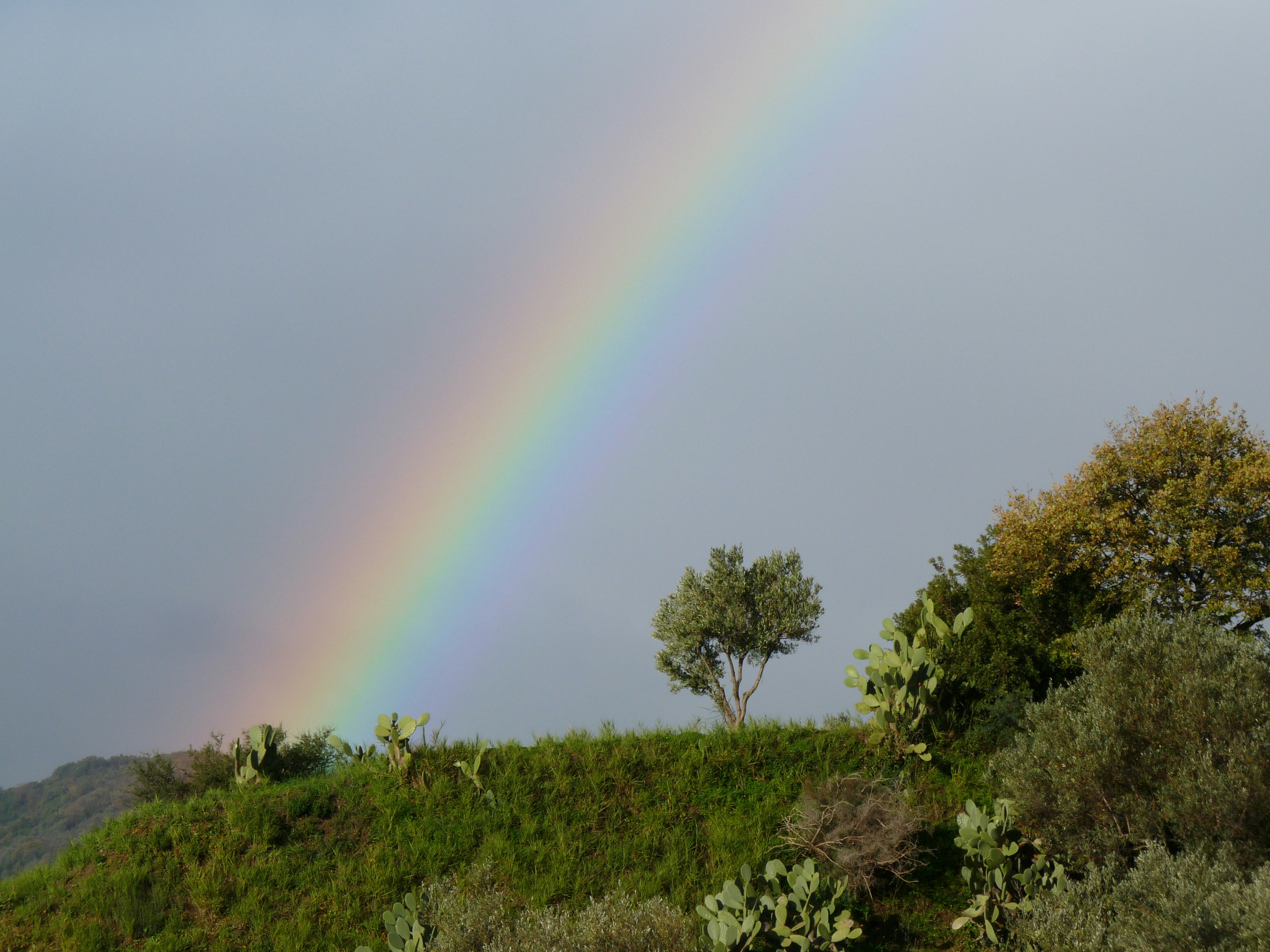 Rainbow Over Green Ridge: A Quiet Horizon