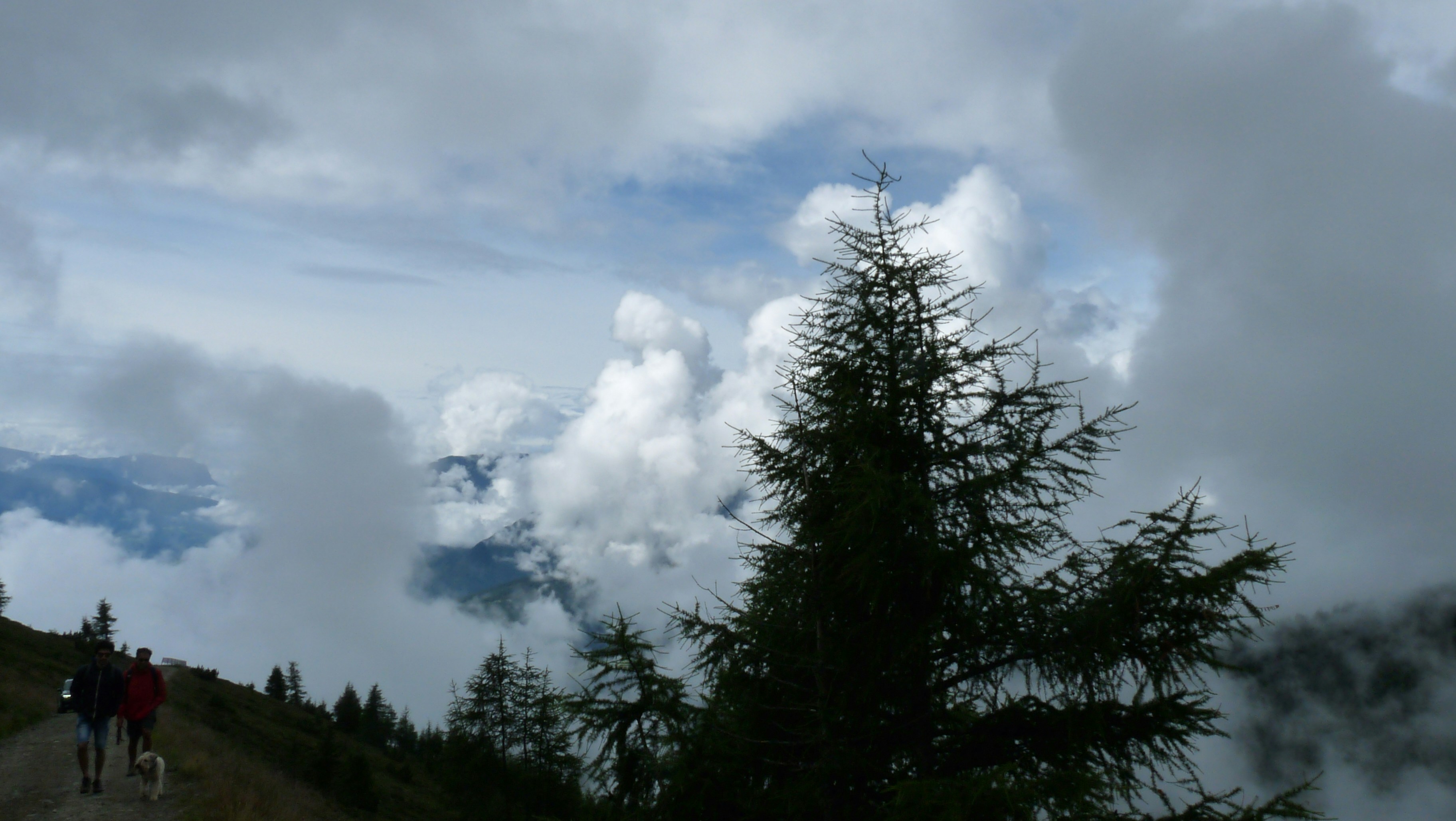 Ridge Walkers Beneath Storm-Touched Pines
