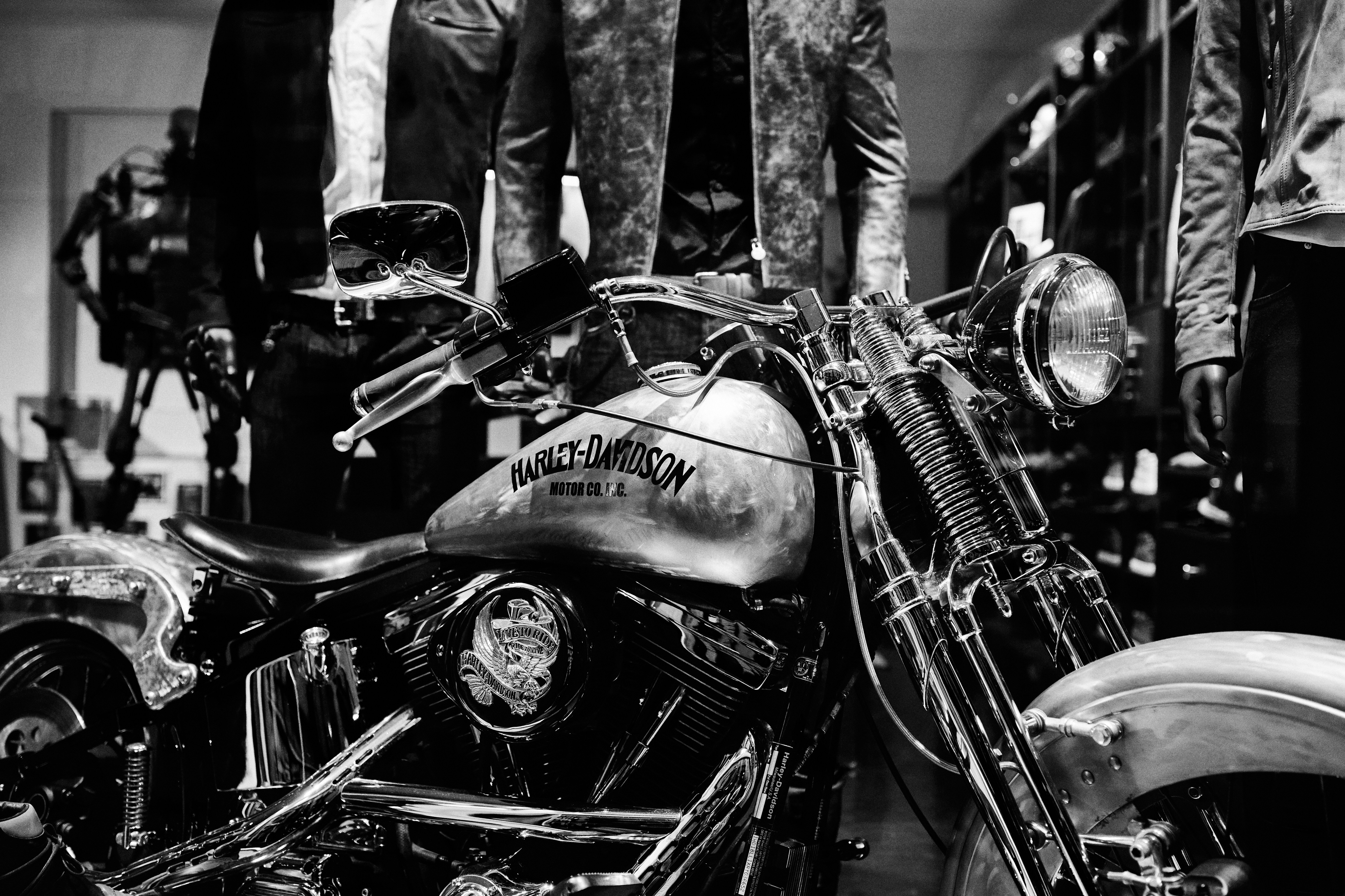 Harley Silence: A Classic Motorcycle in a Studio Shroud