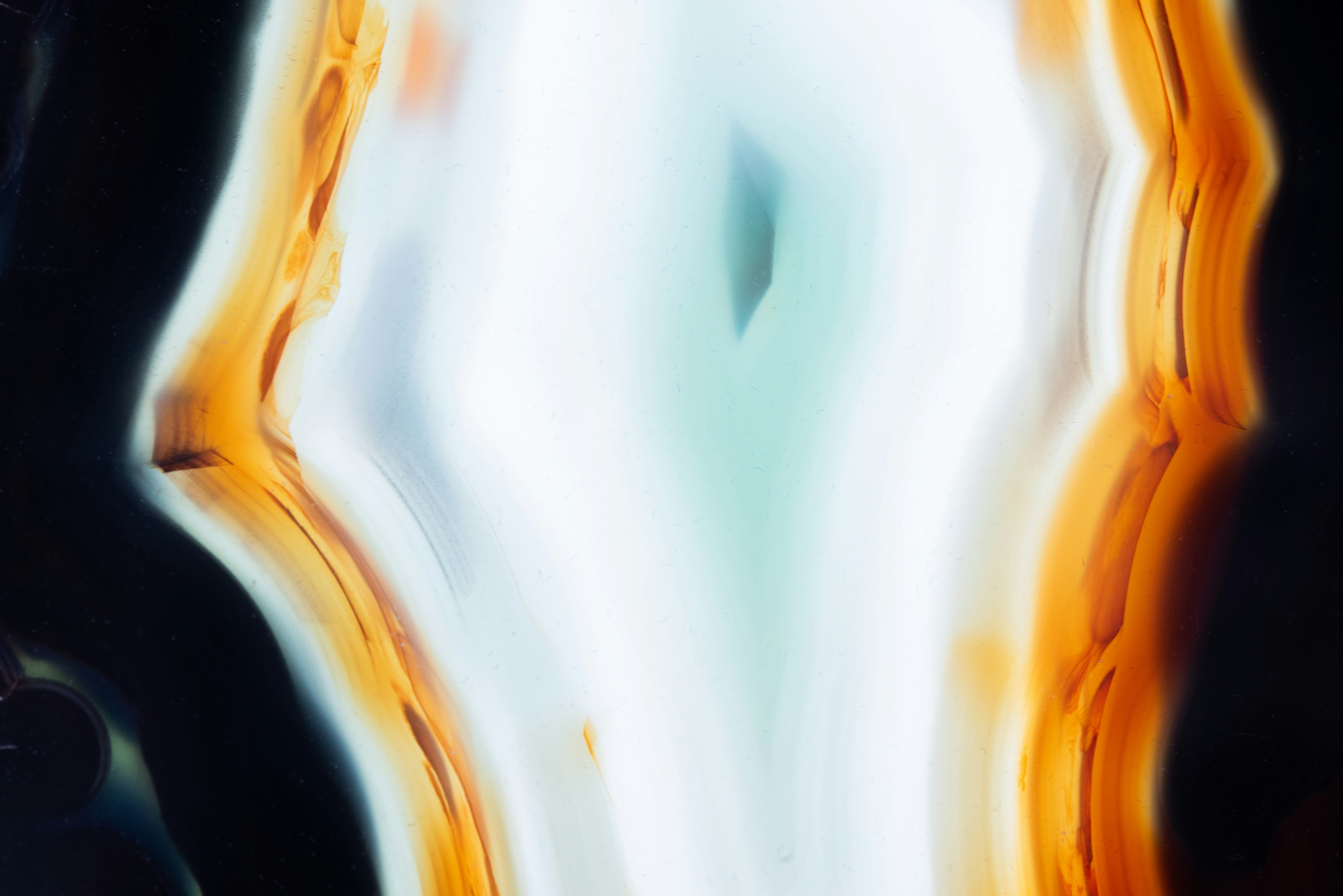 A Glowing Silhouette: Abstract Light Within a Coral Core