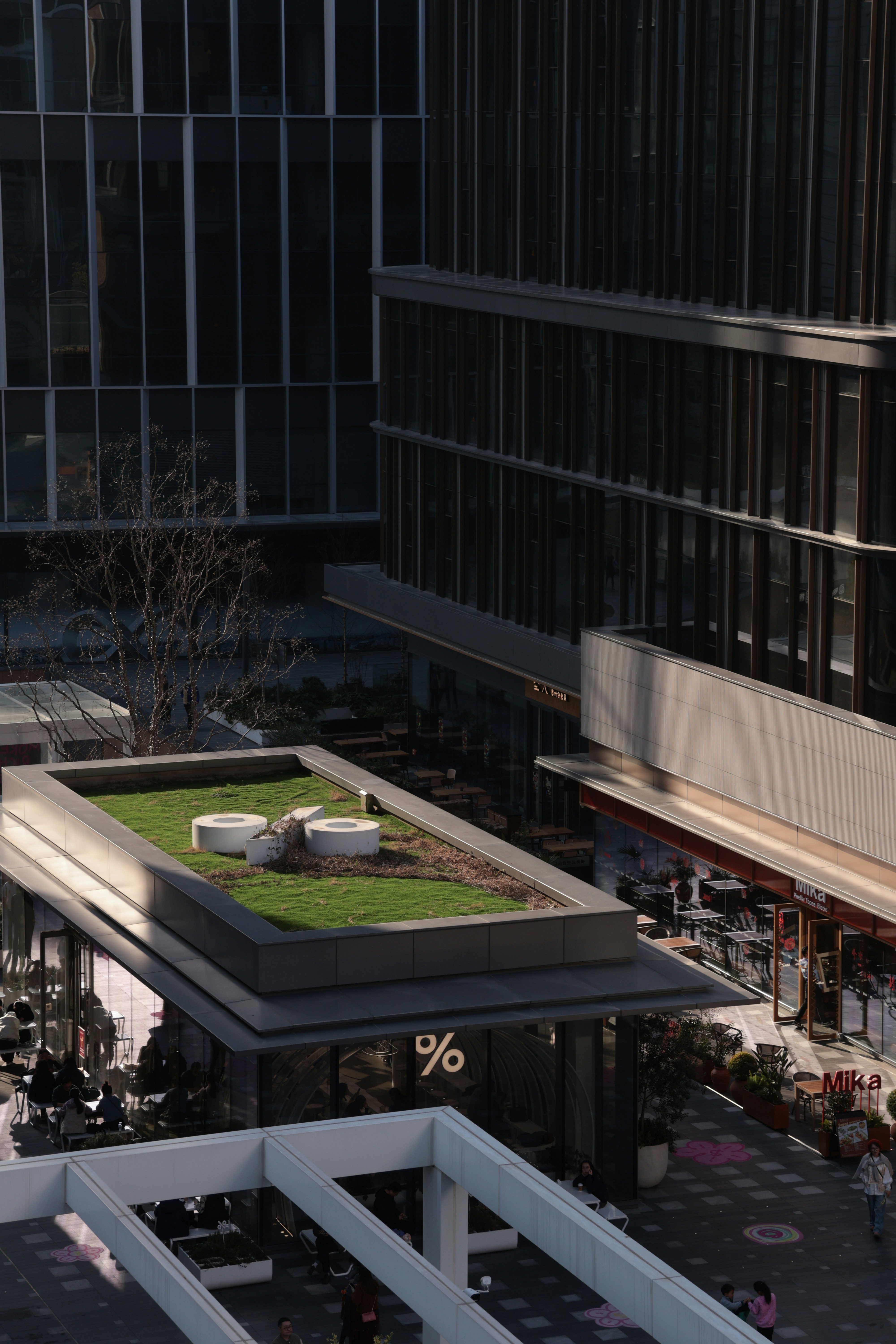 Rooftop Oasis Above the Bustling Atrium