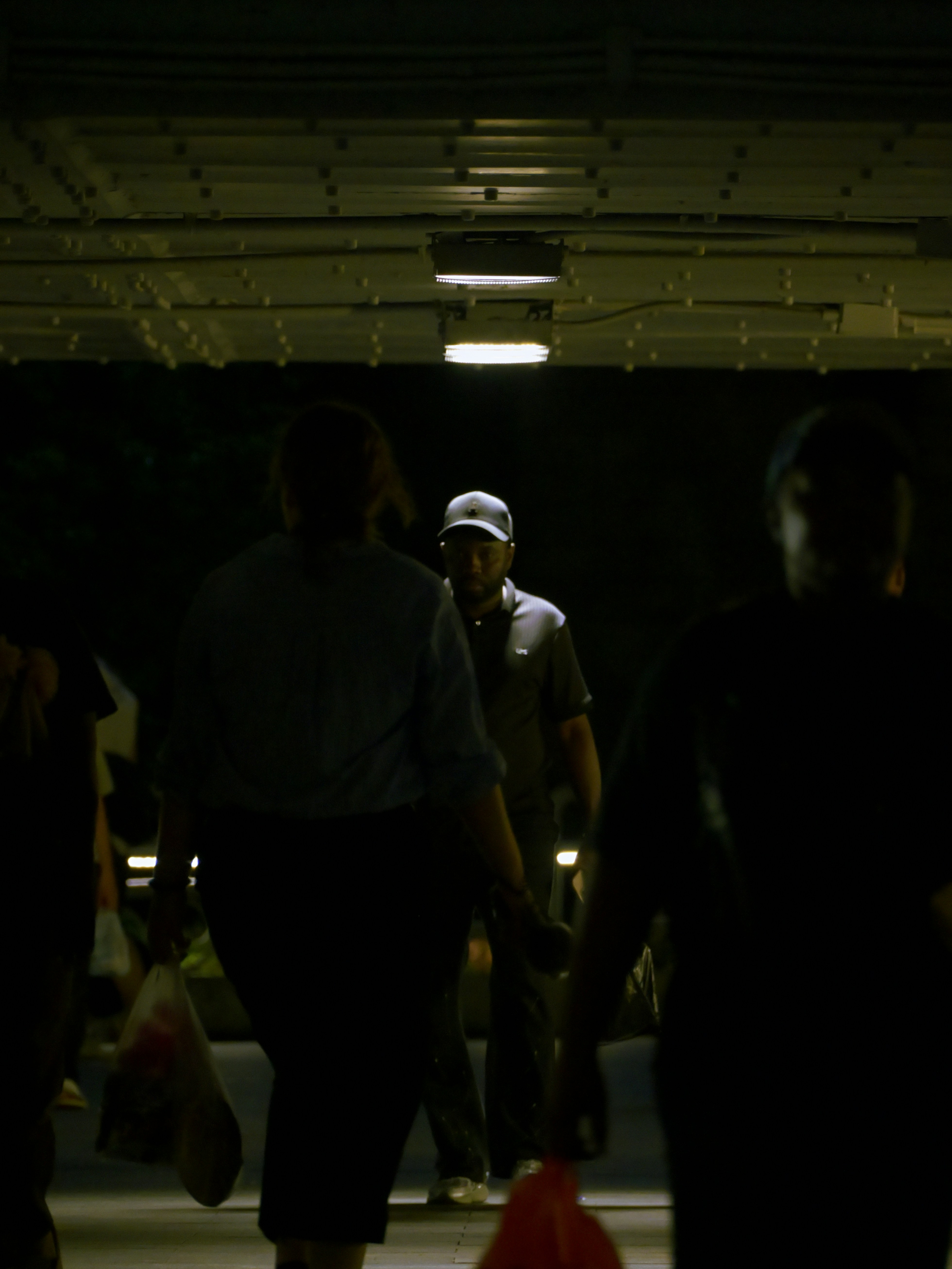 Midnight Platform: A Subtle Vigil Under Overhead Lights