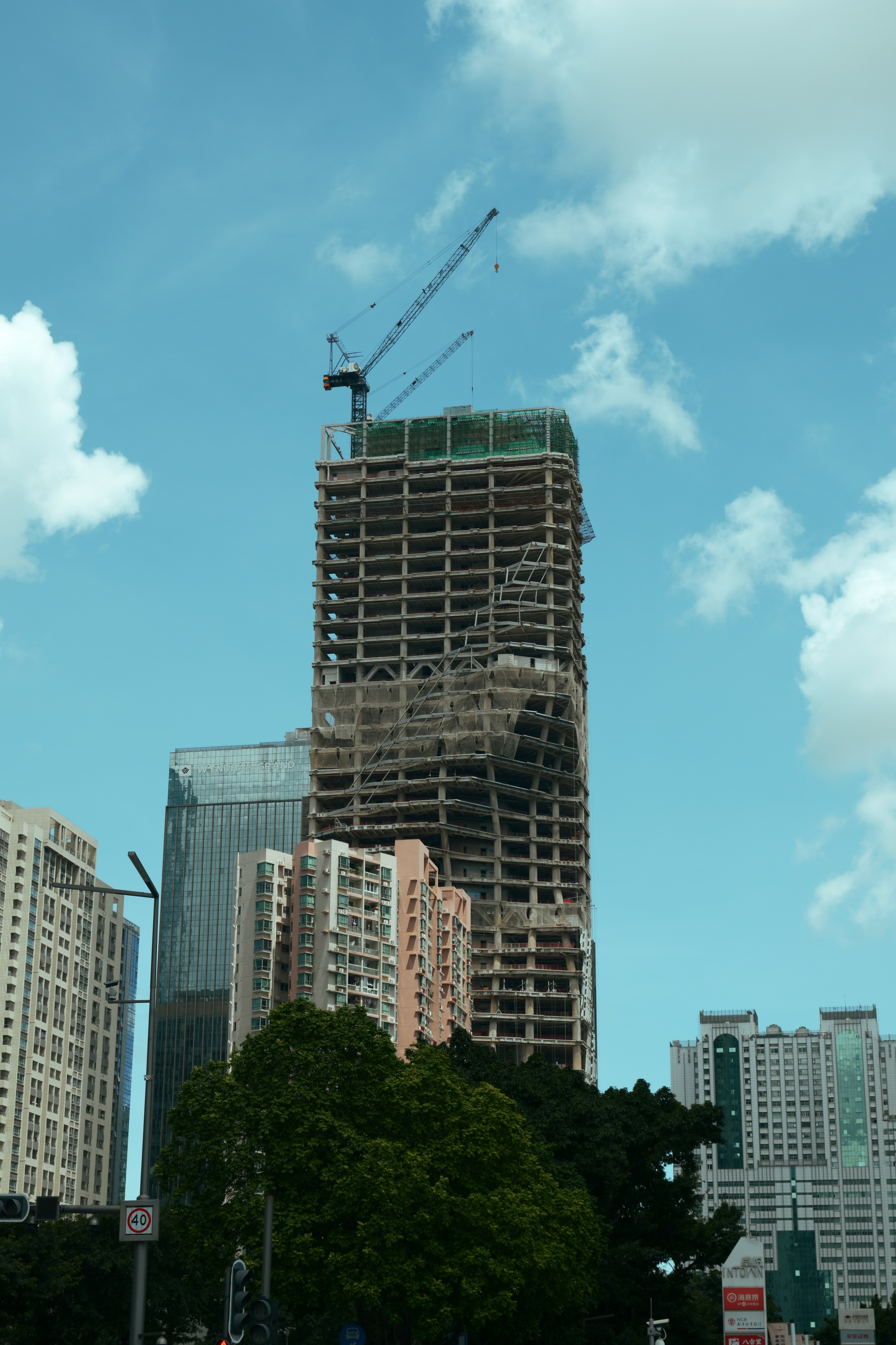 Cranes Over a Growing Skyline