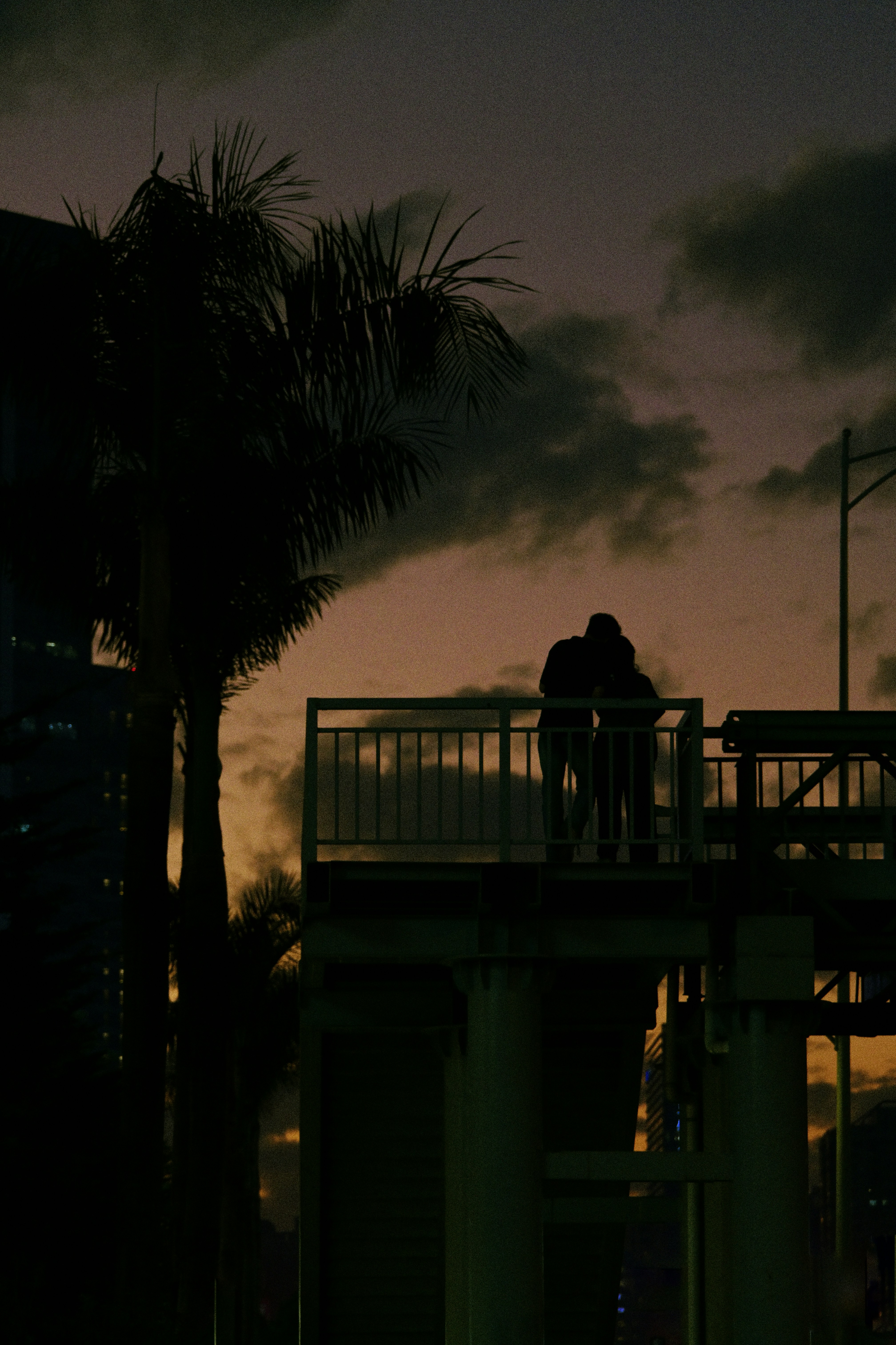 Couple silhouetted on bridge at sunset near palm tree.