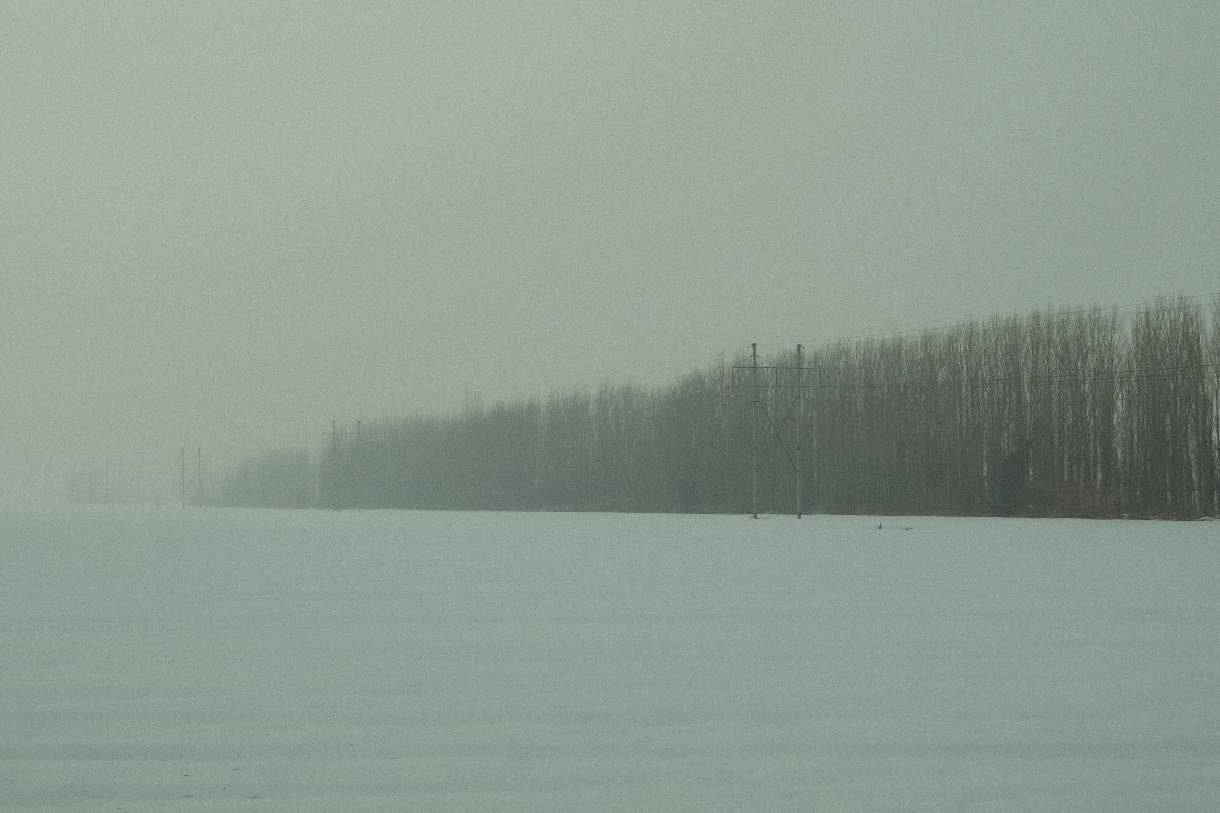 Winter landscape with a snowy field and distant bare trees.