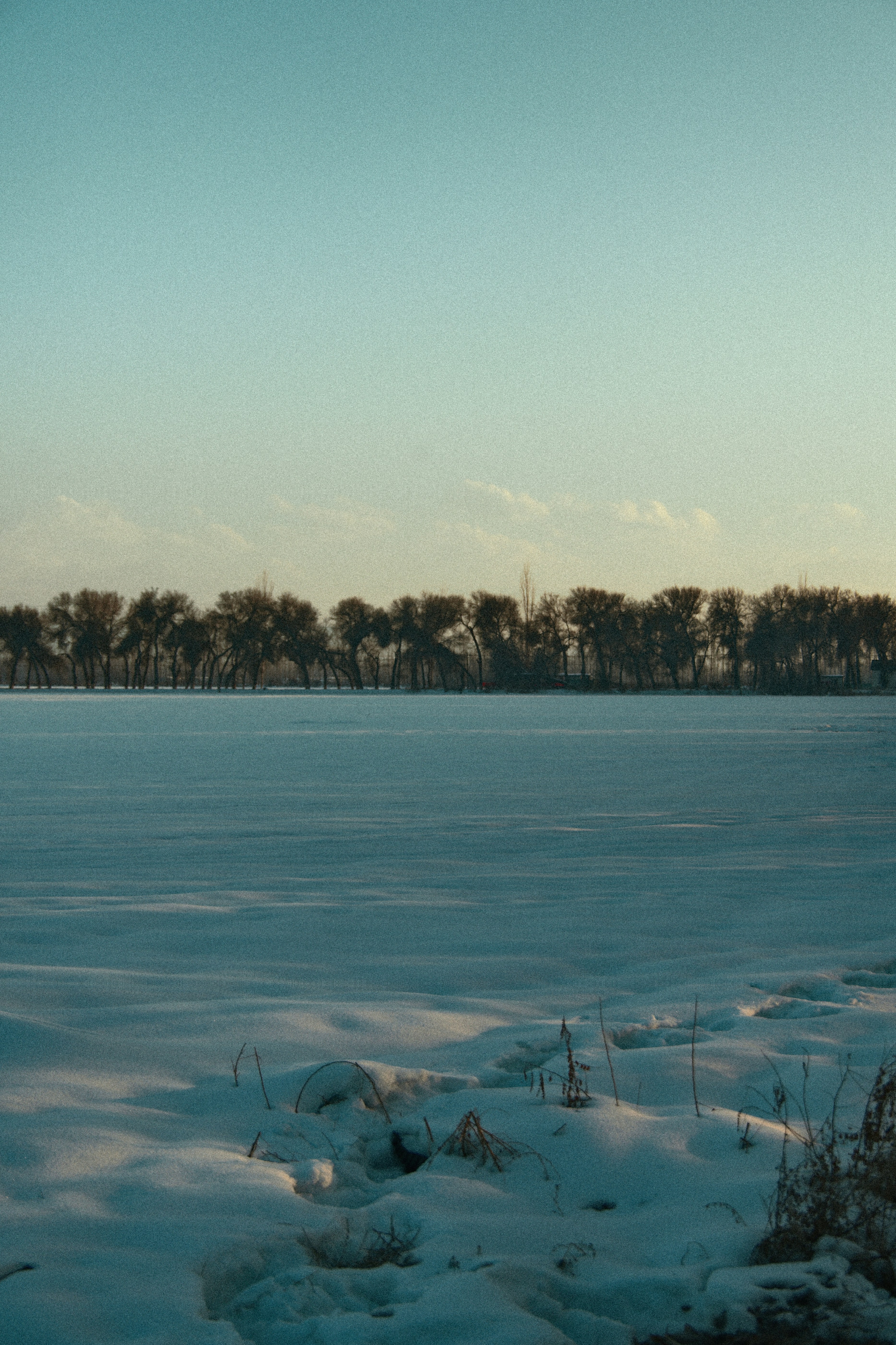 Frozen Horizon: Snow-covered Banks and Distant Trees at Dusk