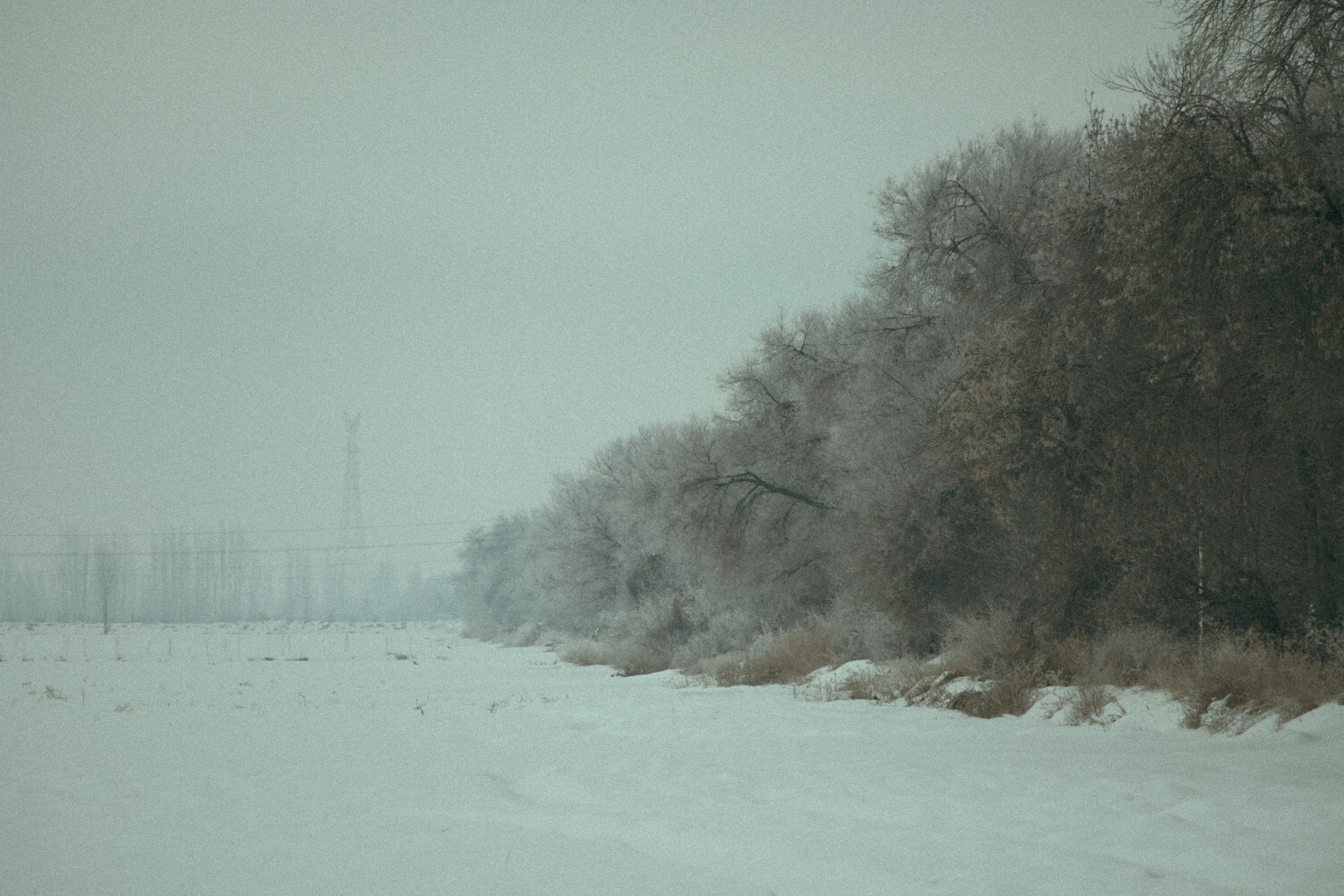 Snow-Quiet Riverbank Fade