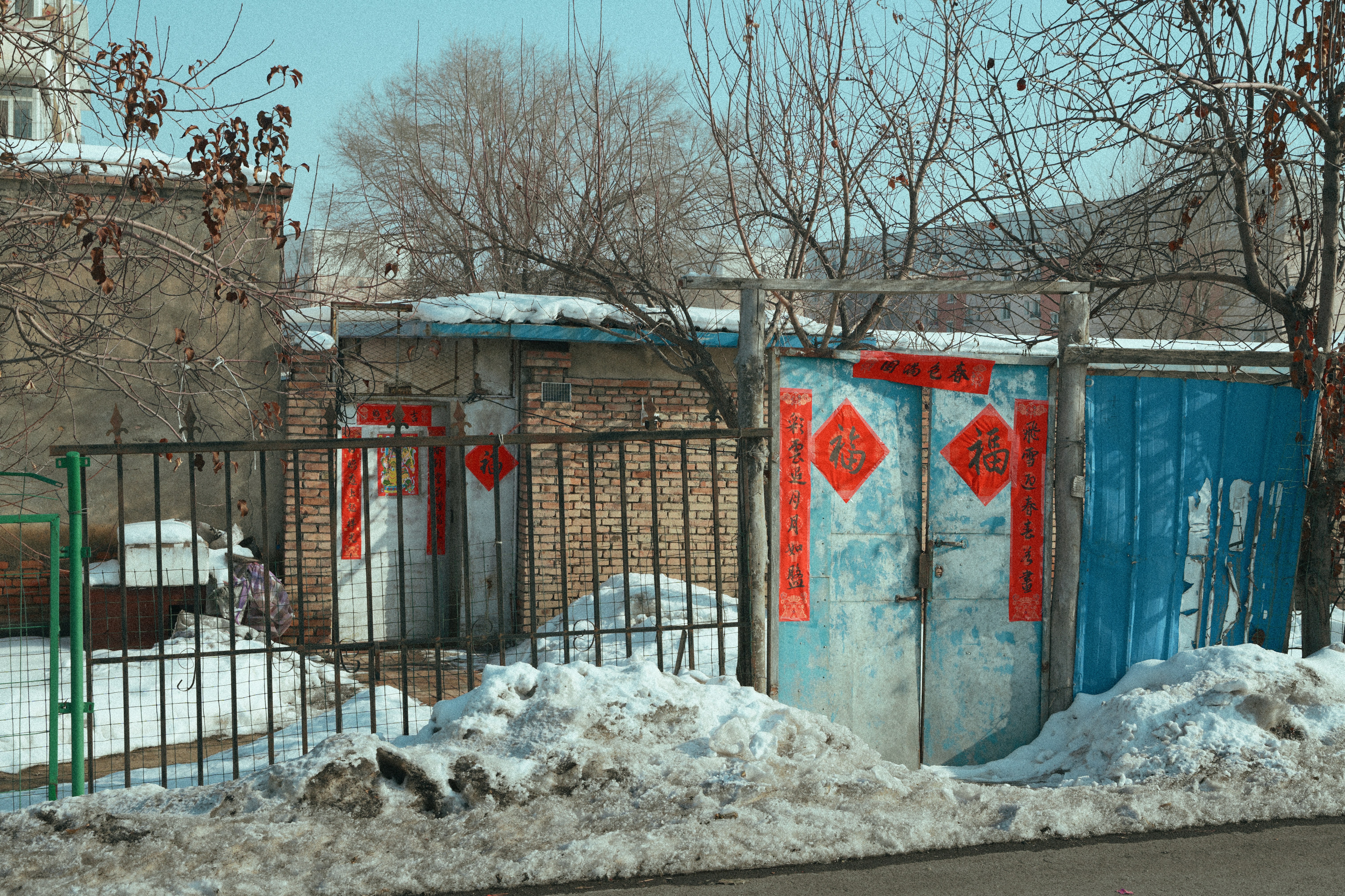 Red Door Cushions the Cold: A Quiet Winter Courtyard