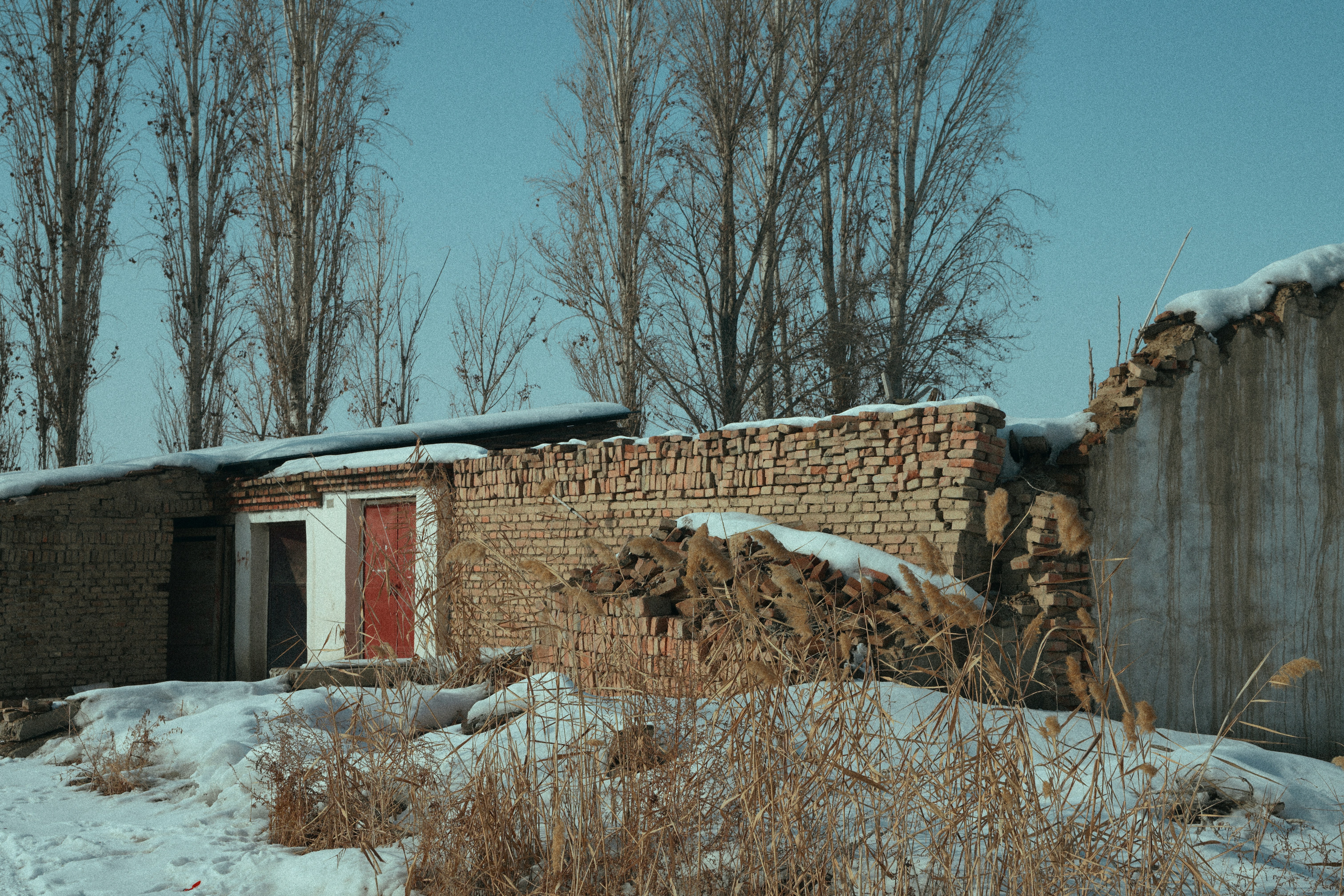 Snowlit Ruin Aglow: Bricks, Grass, and a Quiet Winter Gap