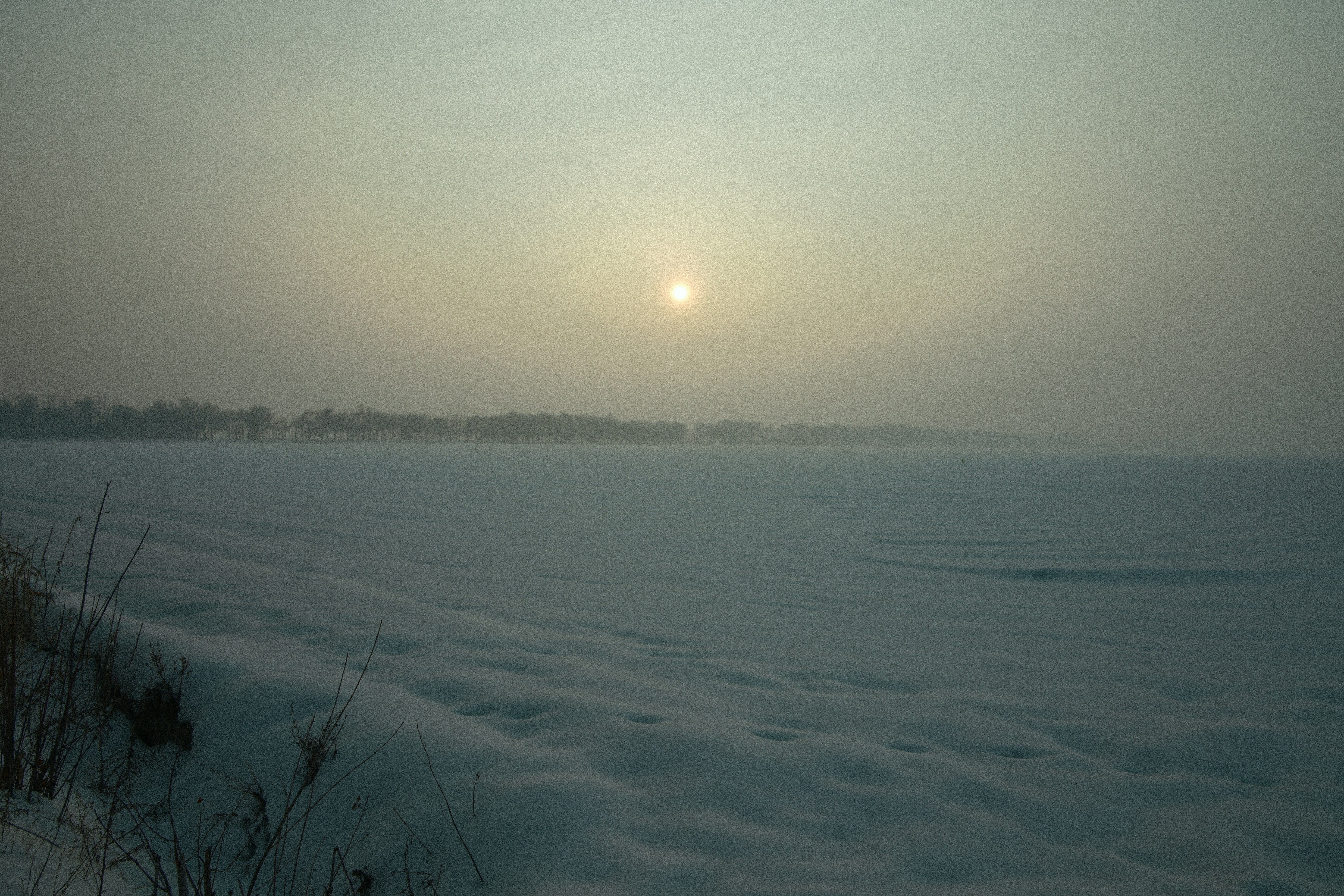 Horizon of Quiet Snow Under a Pale Winter Sun