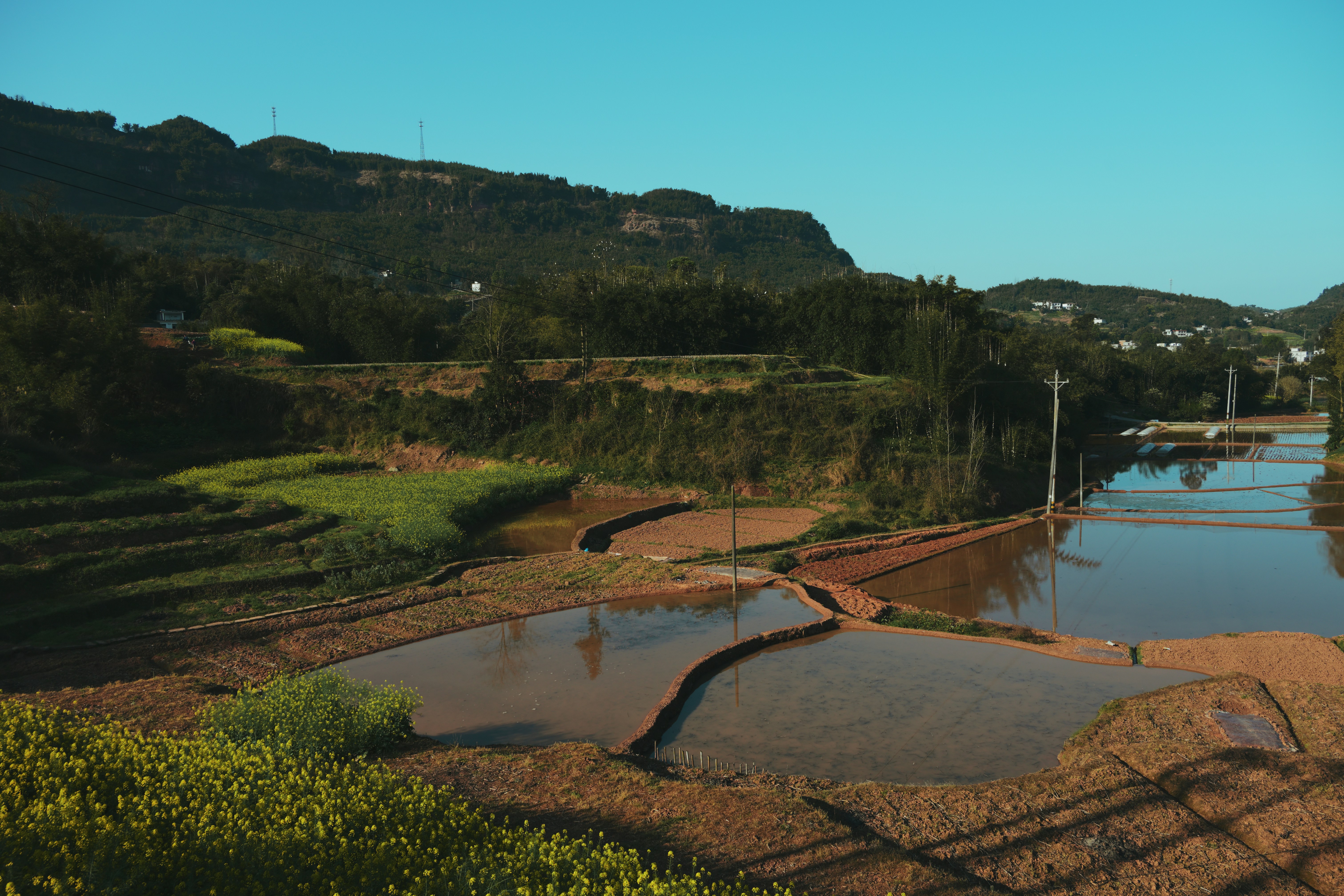 Terraced Rice Fields Under a Clear Horizon