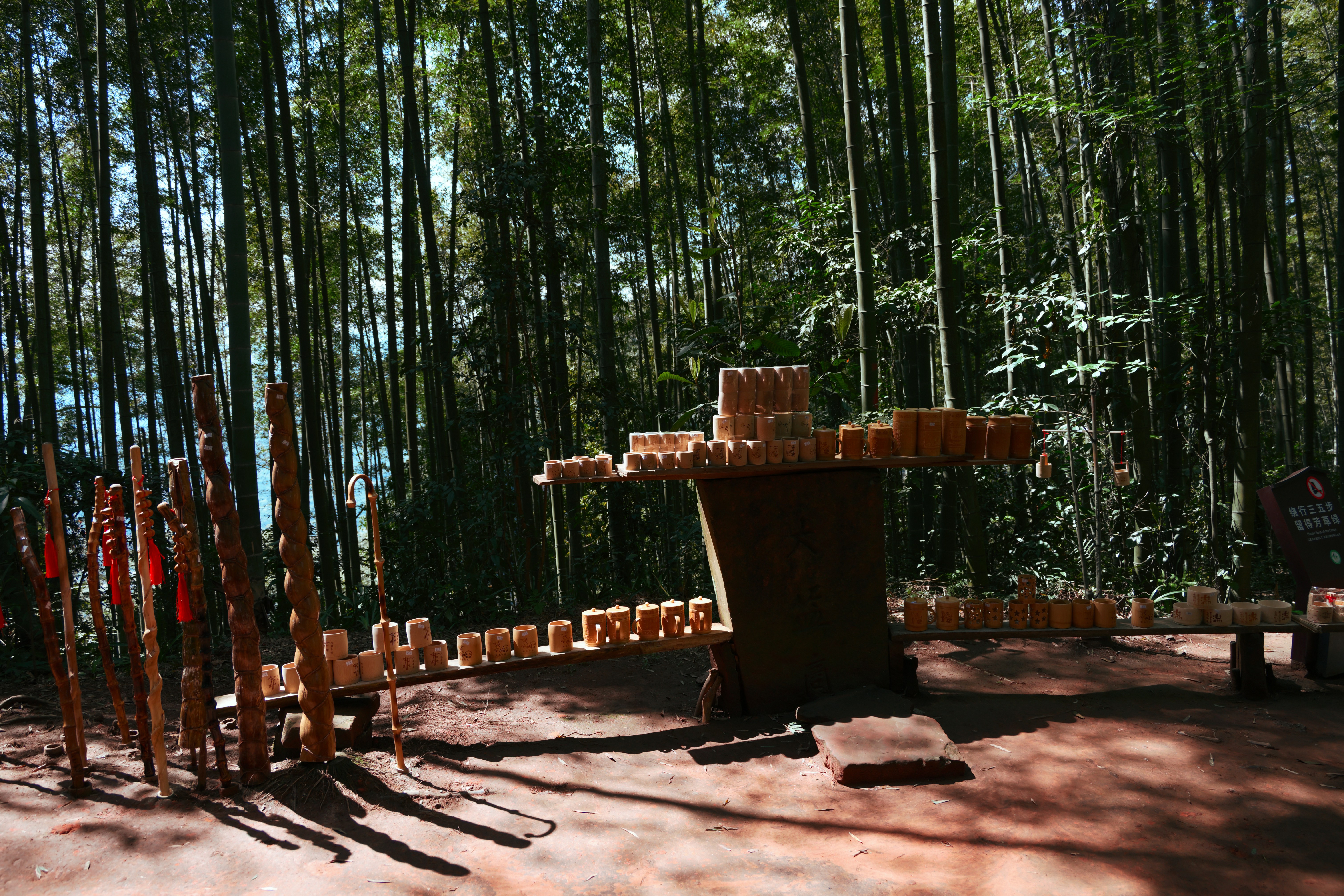 Balanced Line of Carved Candles in a Dappled Forest Clearing