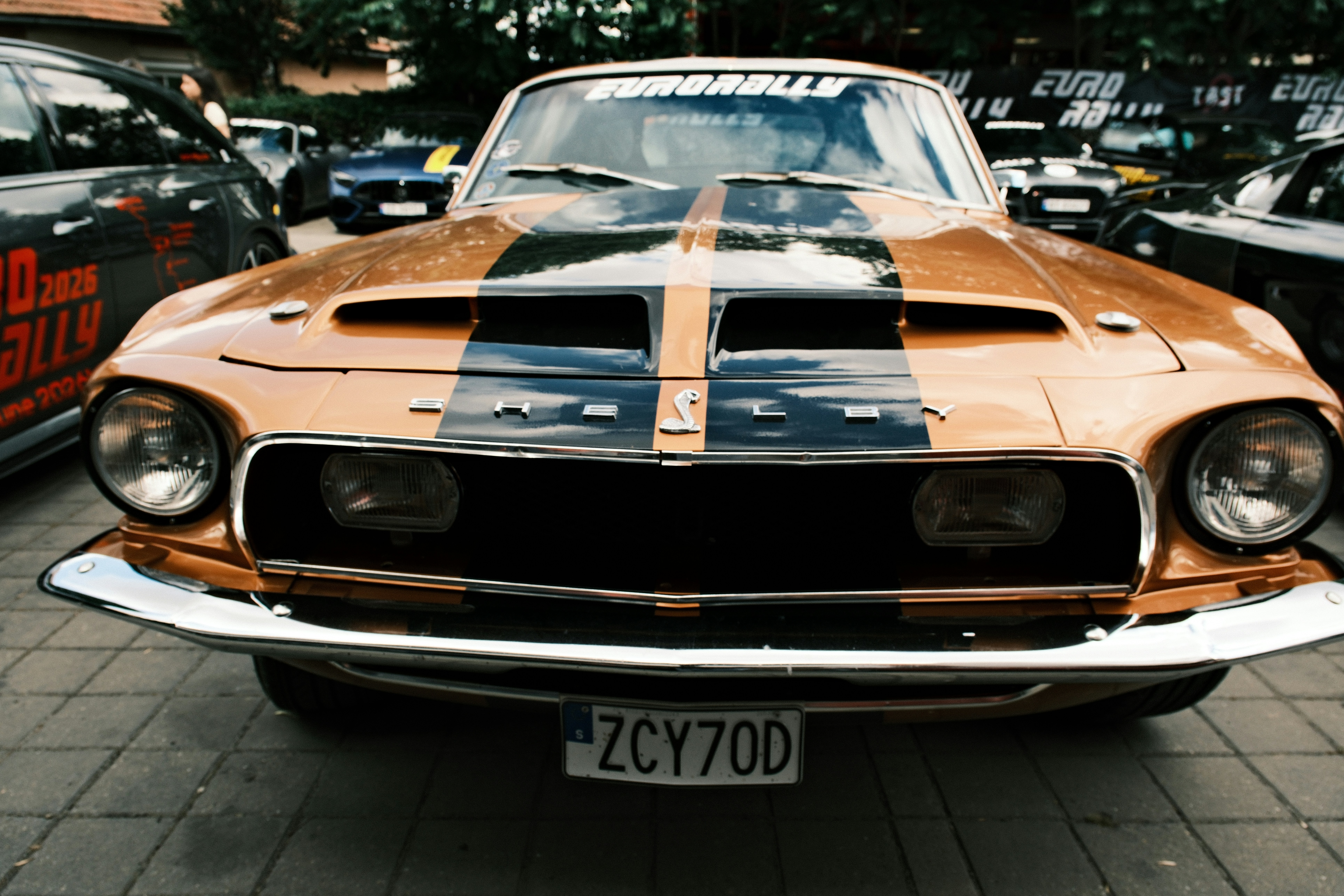 Front-and-Center Mustang: A Glimpse of Chrome and Racing Stripes