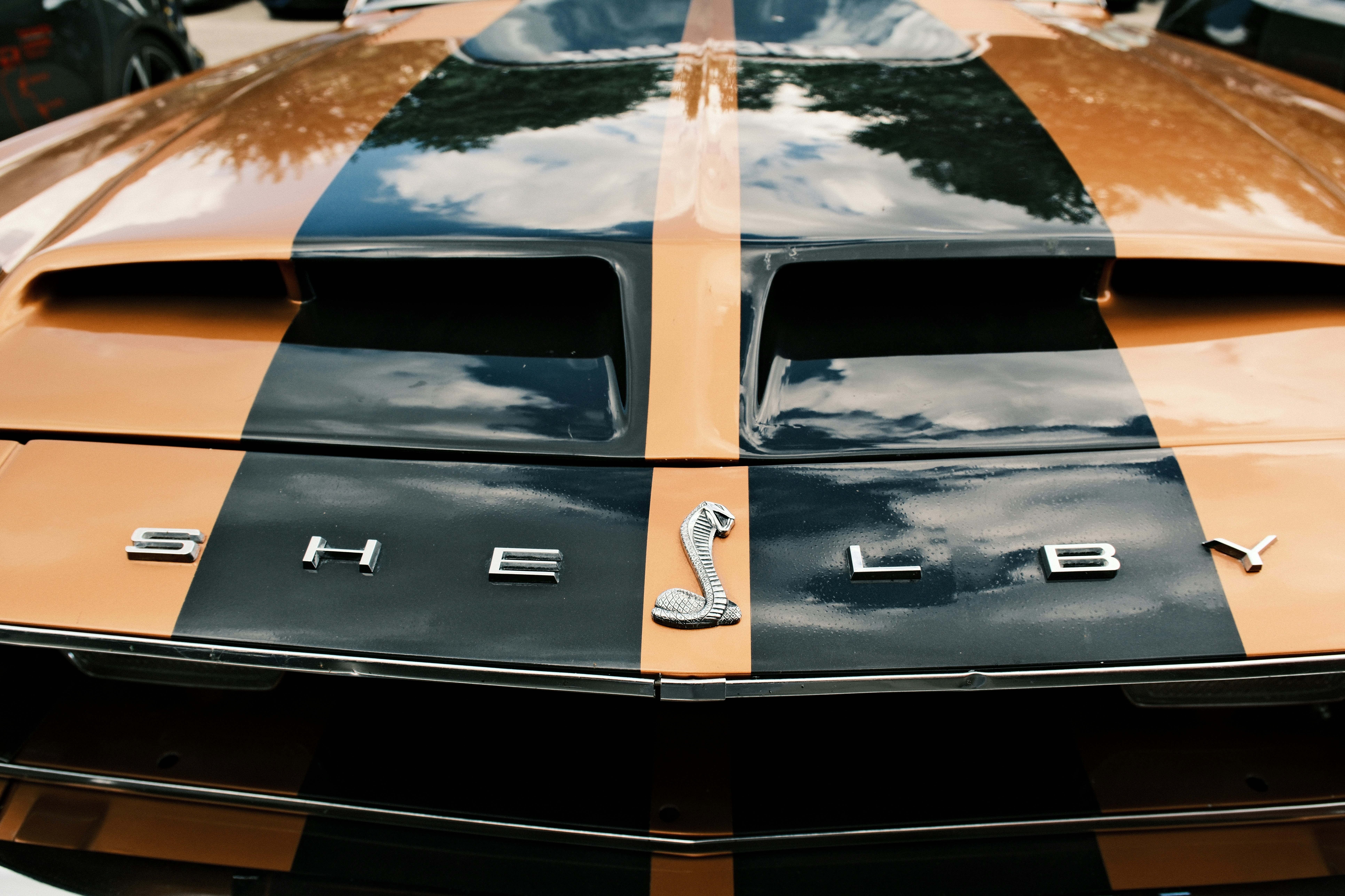 Chromed Snake of the Strip: A Shelby GT from the Hood