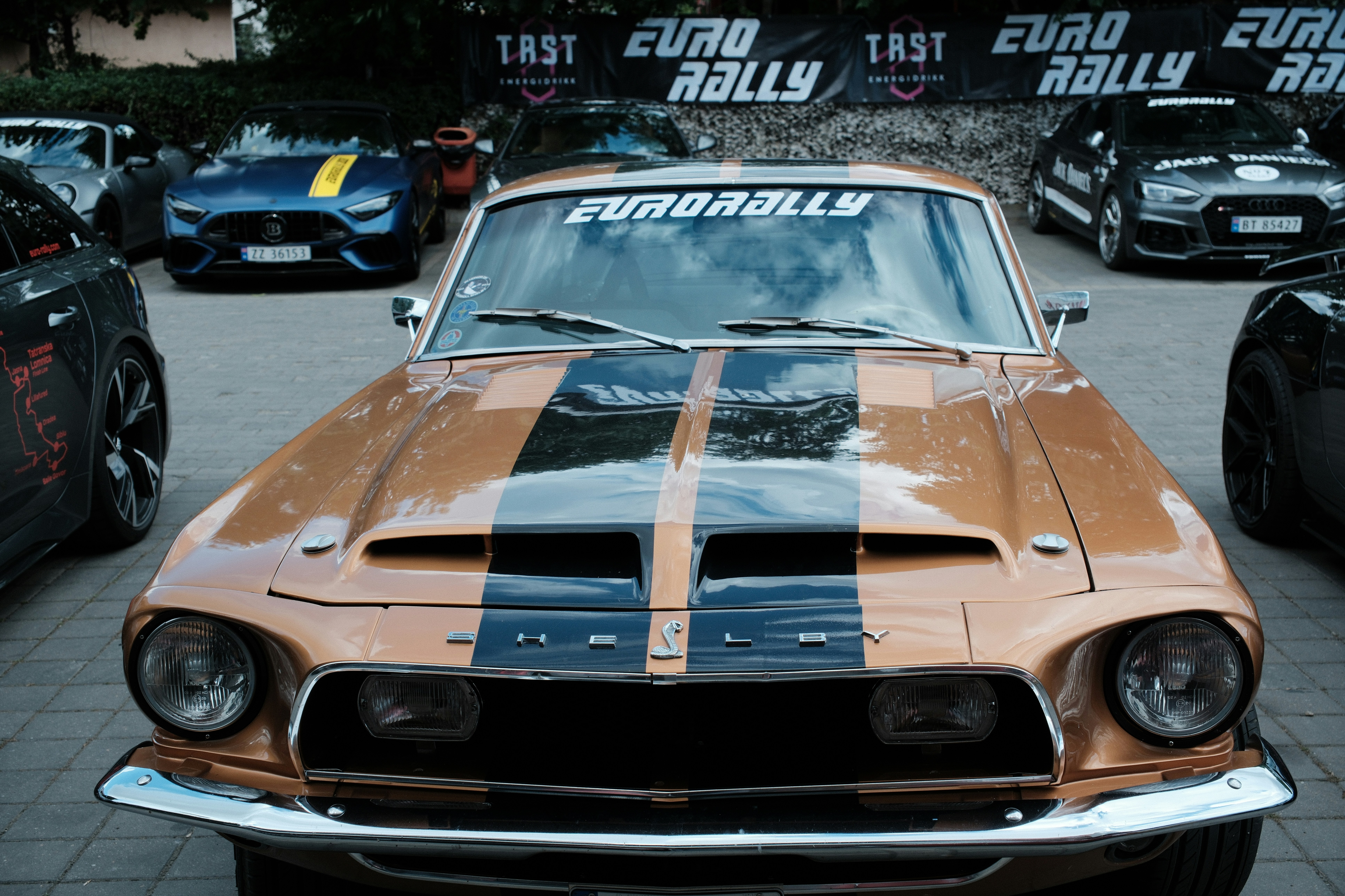 Copper Corvette with Racing Stripes Under Neon Rally Banner