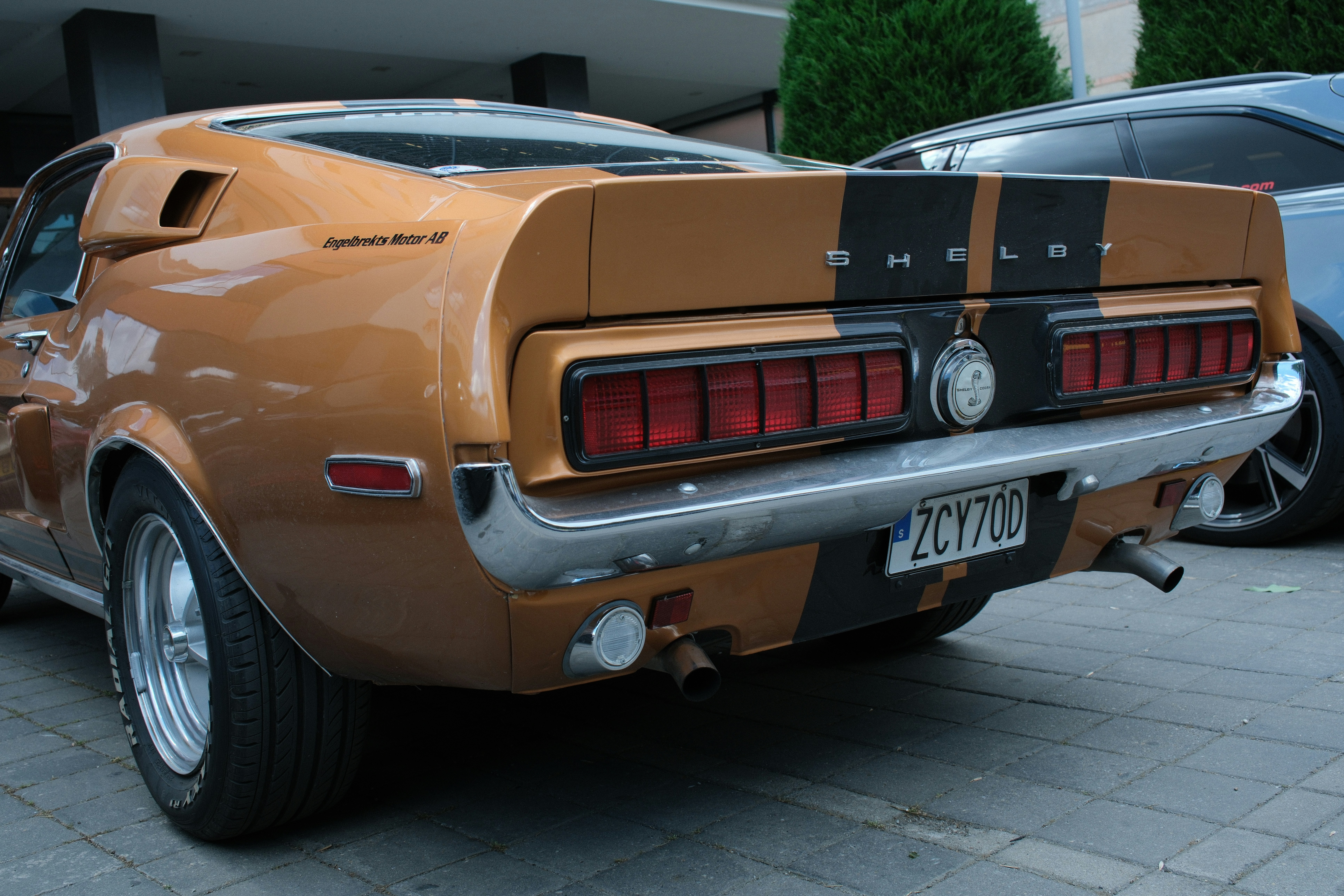 Orange Thunderbird: A Classic Muscle Car’s Tail in Focus