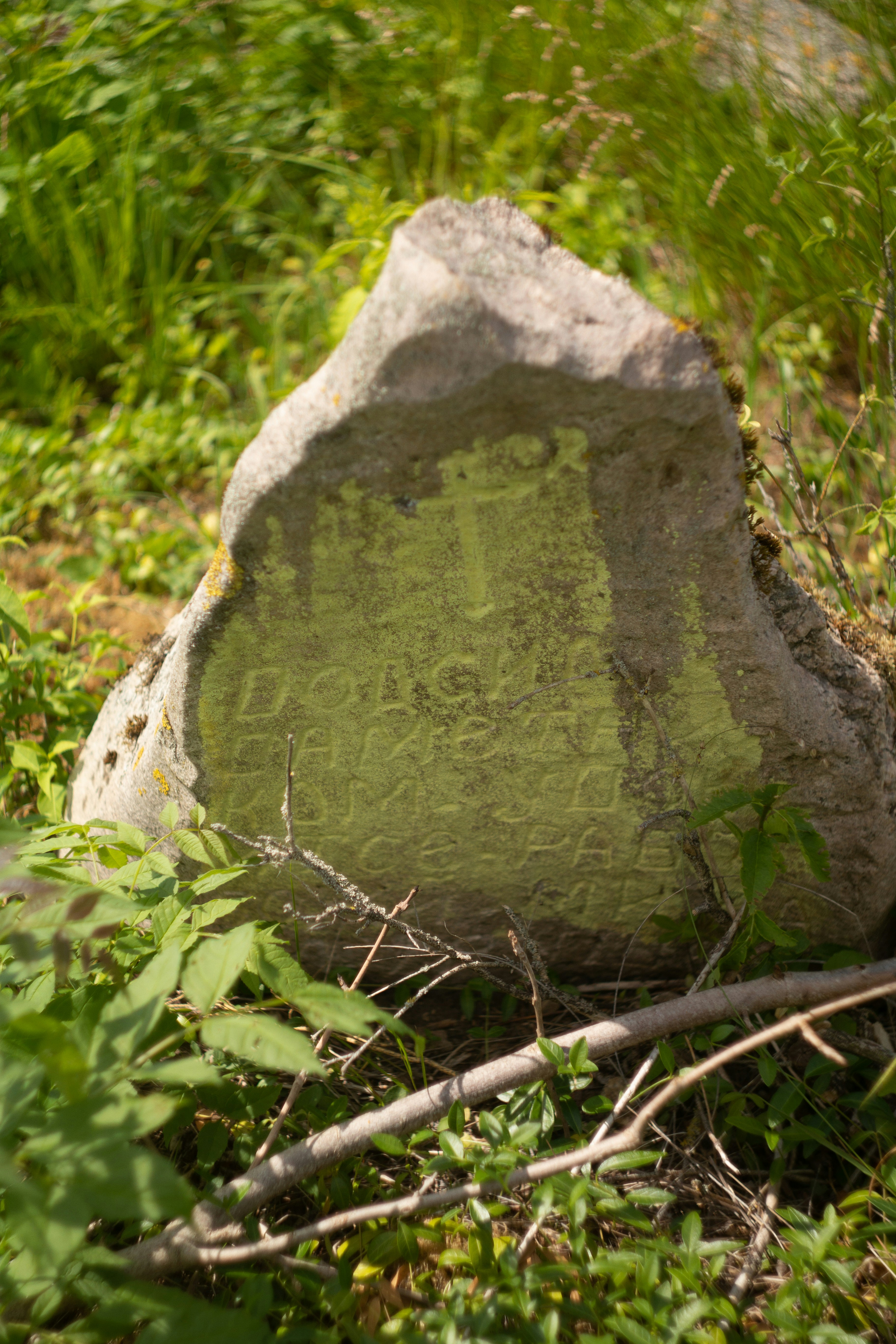Weathered Memorial Stone: Moss-Capped Glyph on a Forest Floor