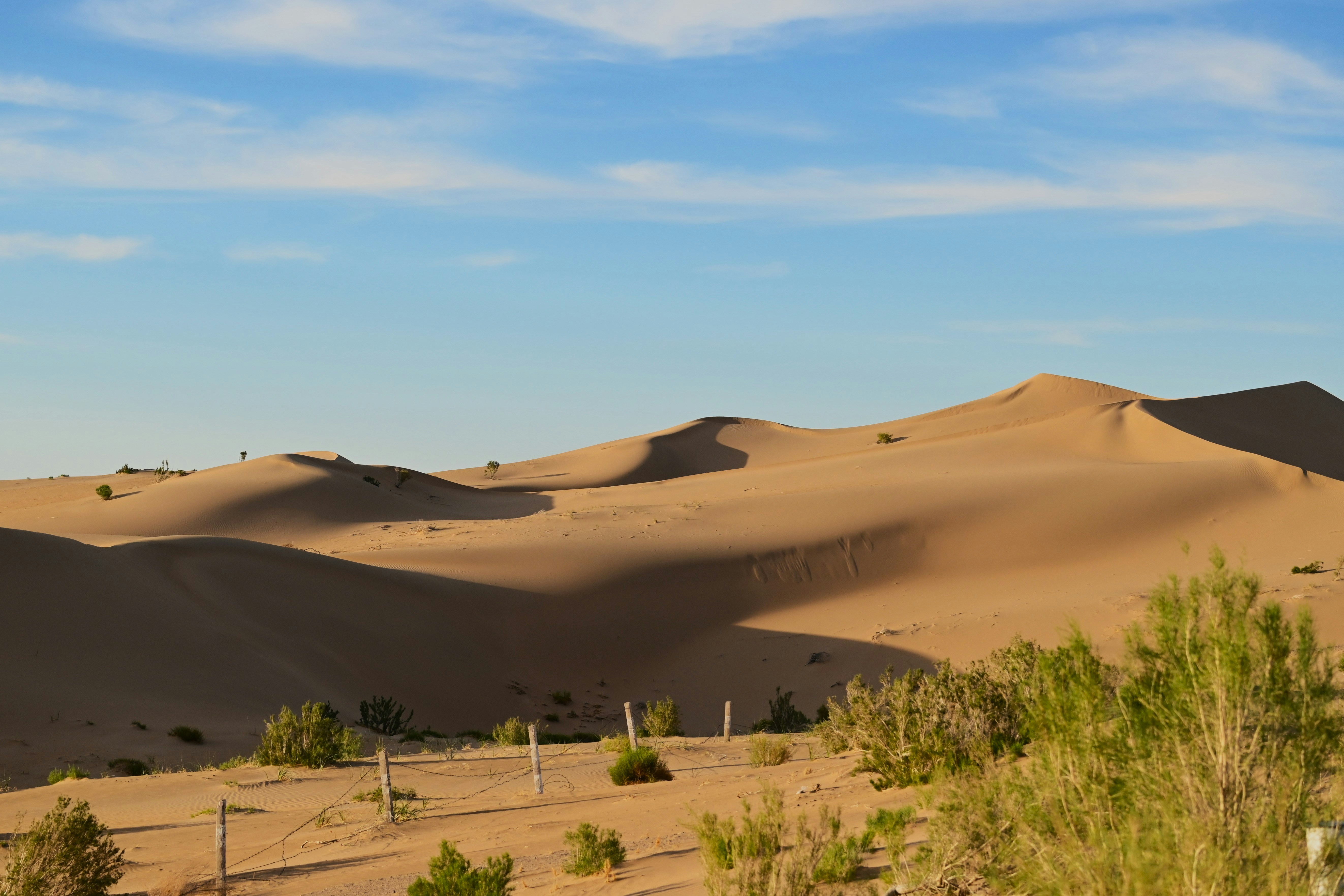 Dune Crest at Quiet Horizon