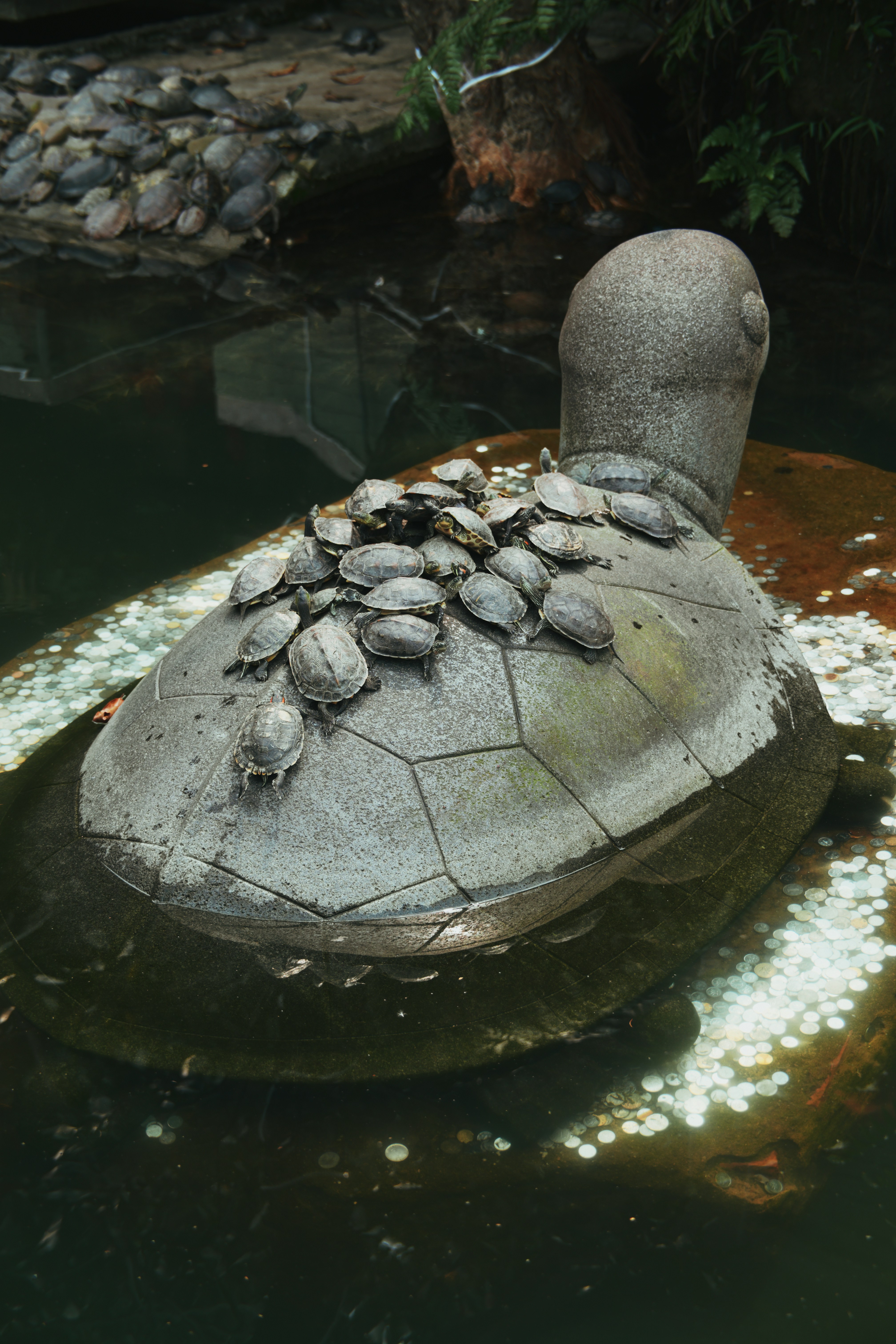 Many small turtles rest on a large stone turtle statue.