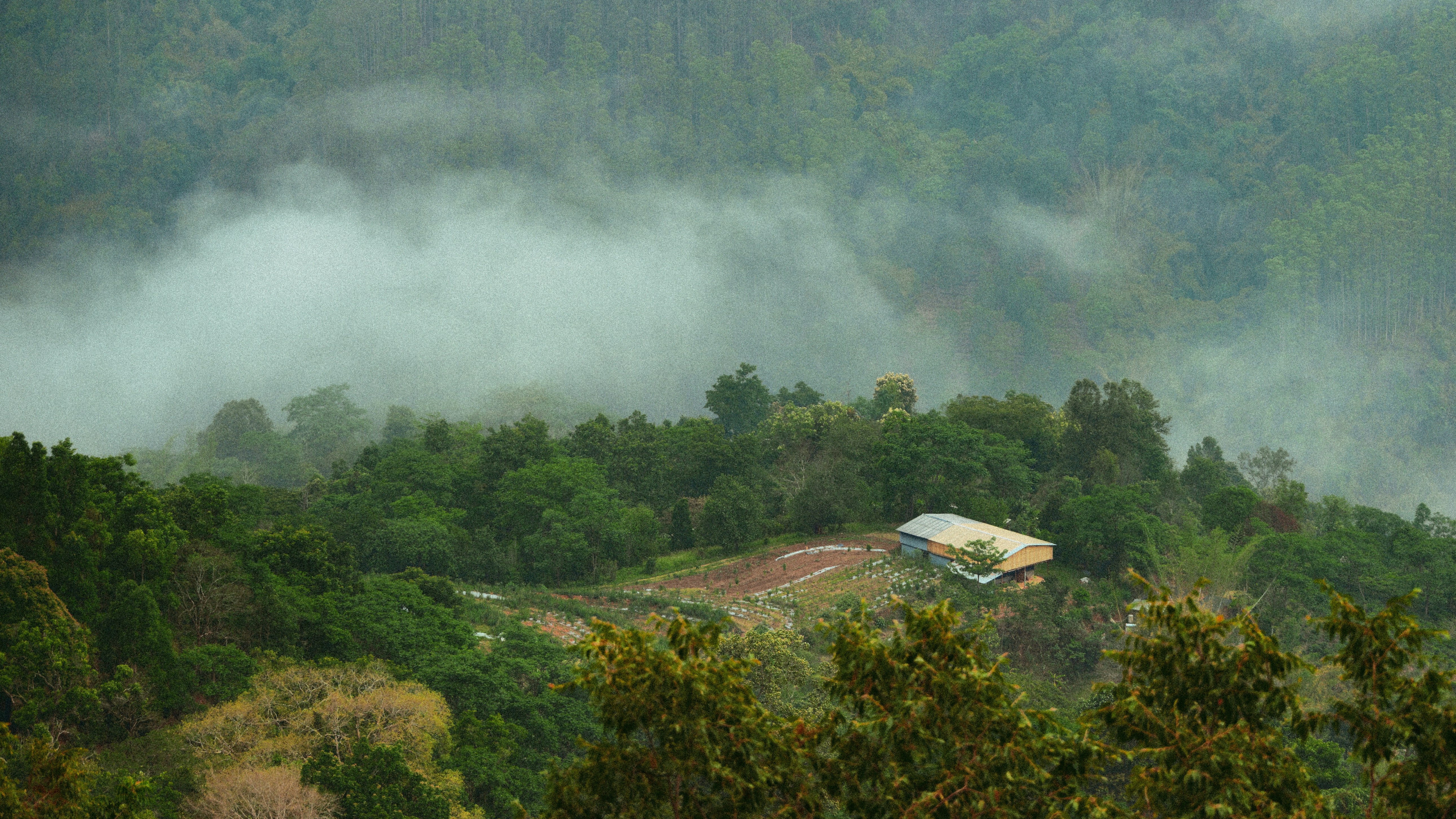 A small house in a misty, forested mountain landscape.