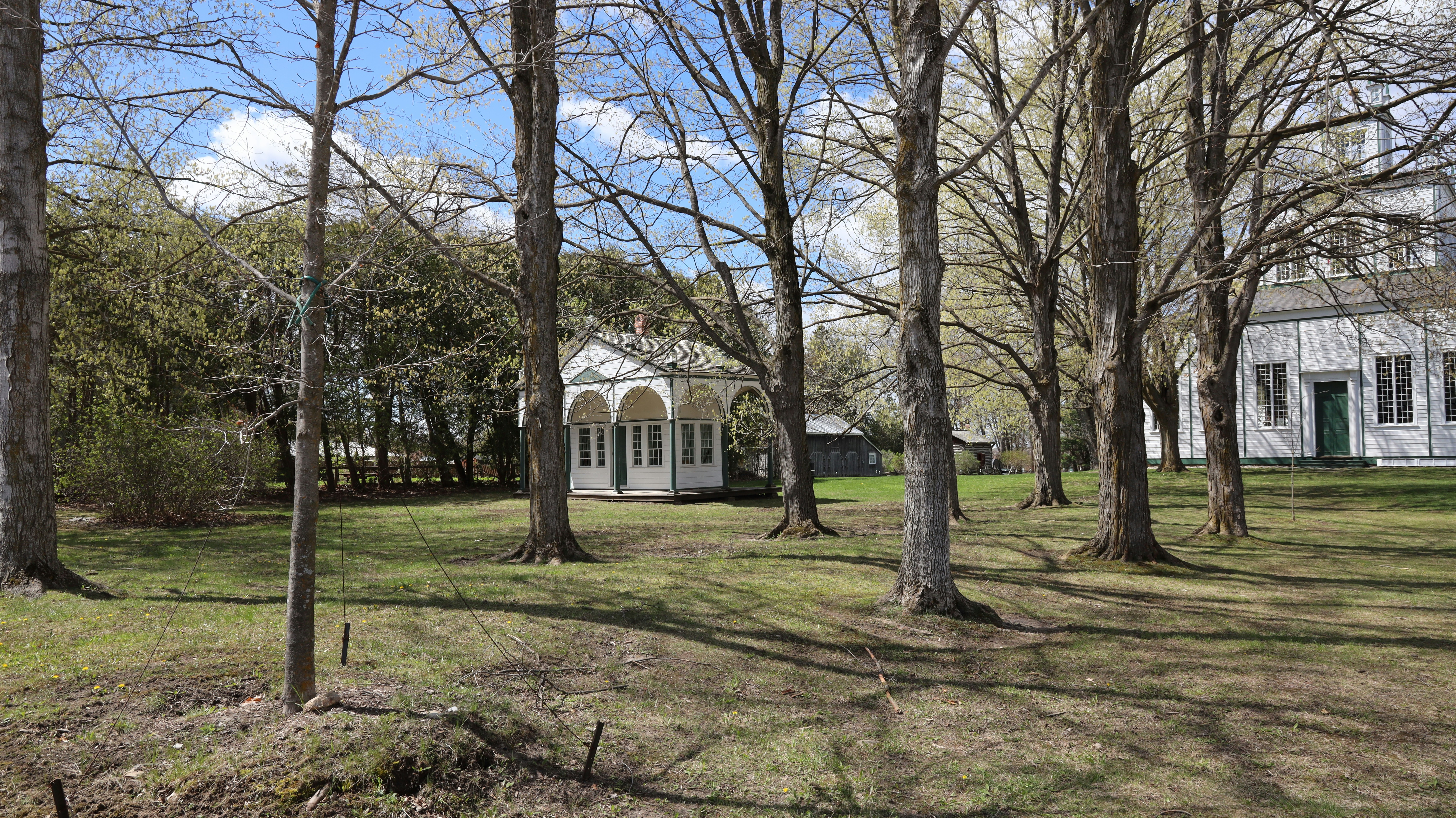Quiet Lanterns of the Oaks: A House Among the Trees