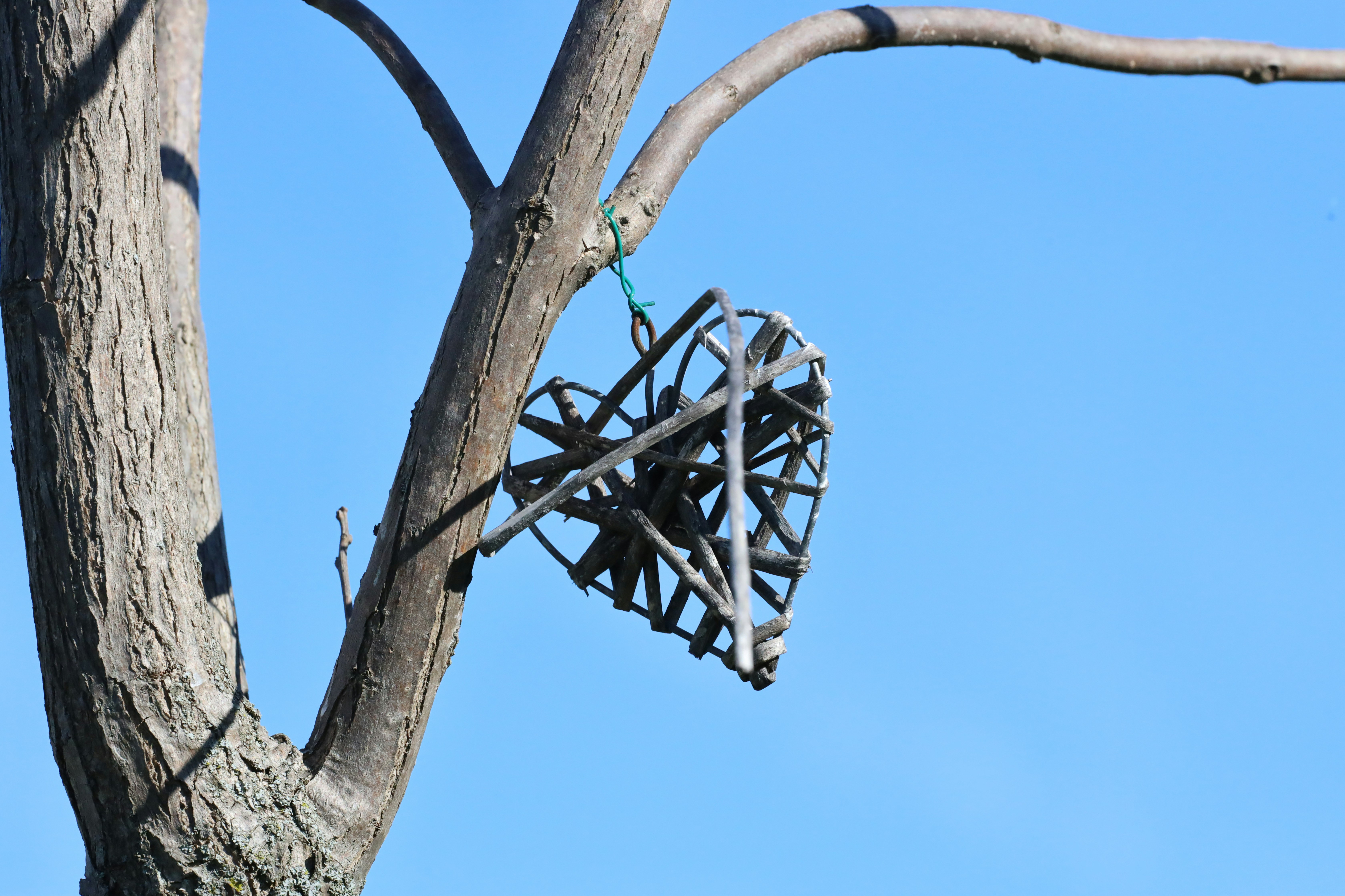 Hanging Geometry: A Rustic Frame in a Clear Sky