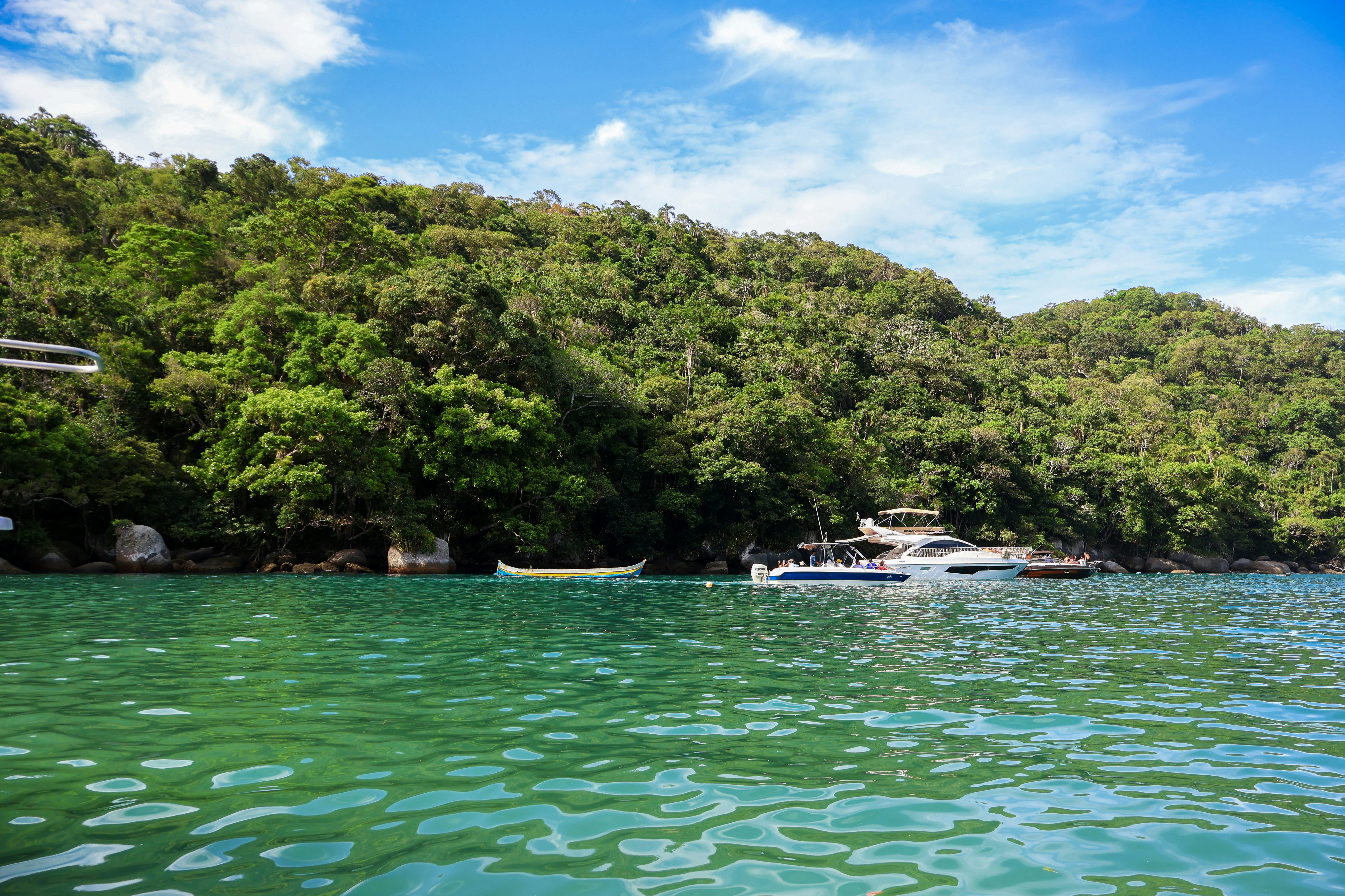 Emerald Waters Meet a Green Canopy: Boats at the Edge of a Tropical Shore