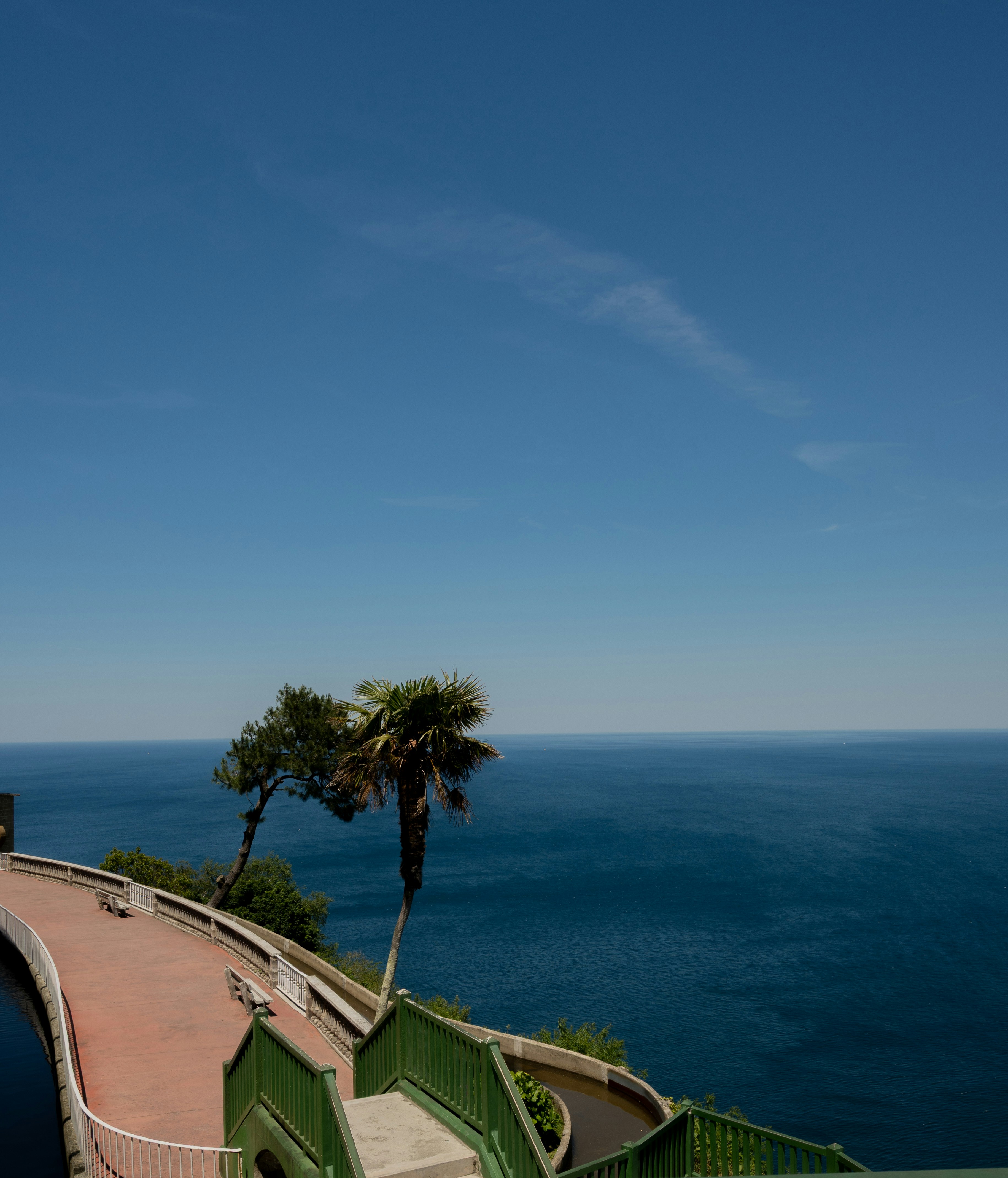 Winding pathway overlooking a vast blue ocean with palm trees.