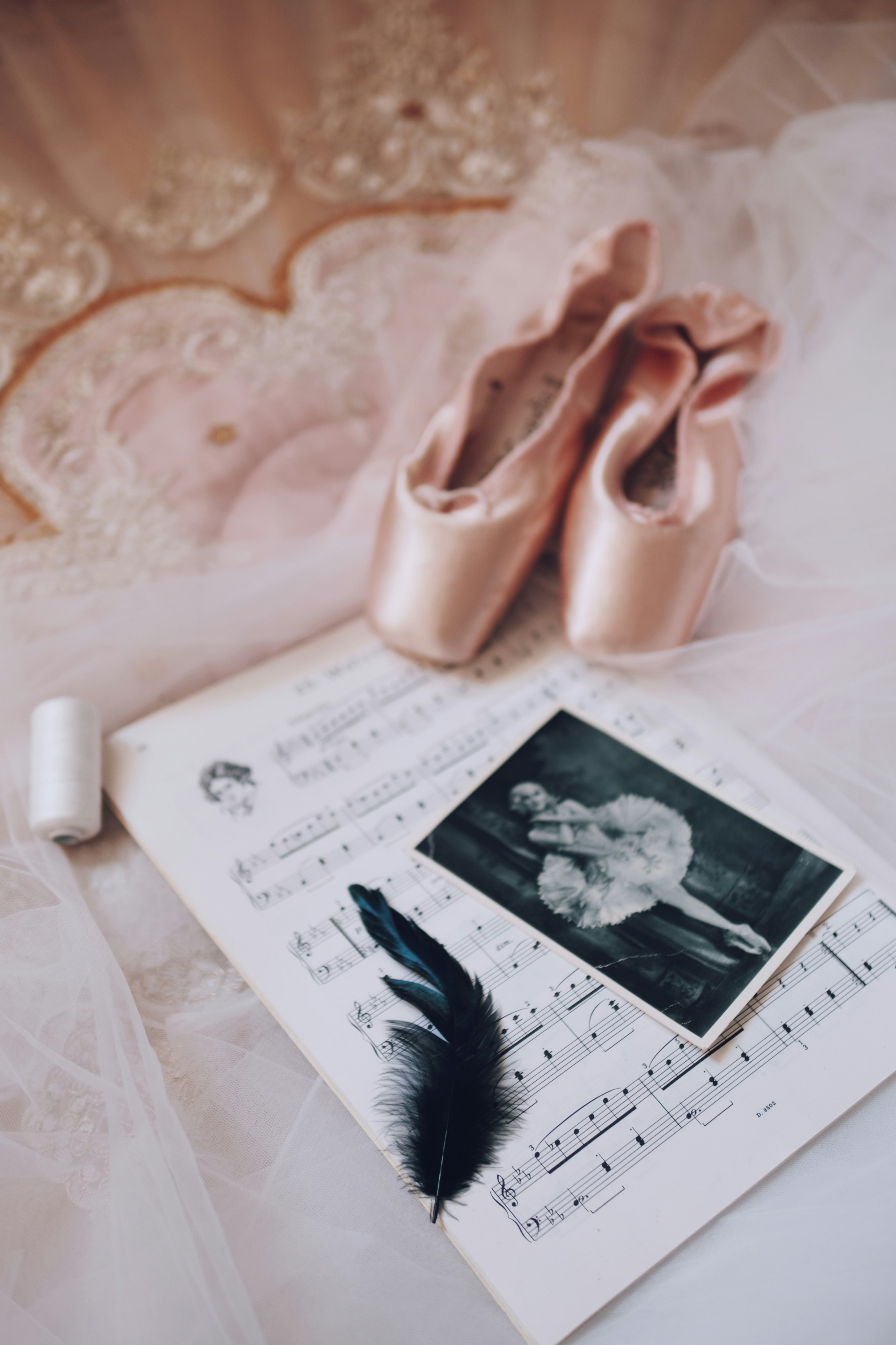 Ballet Shoes and Silent Snapshot