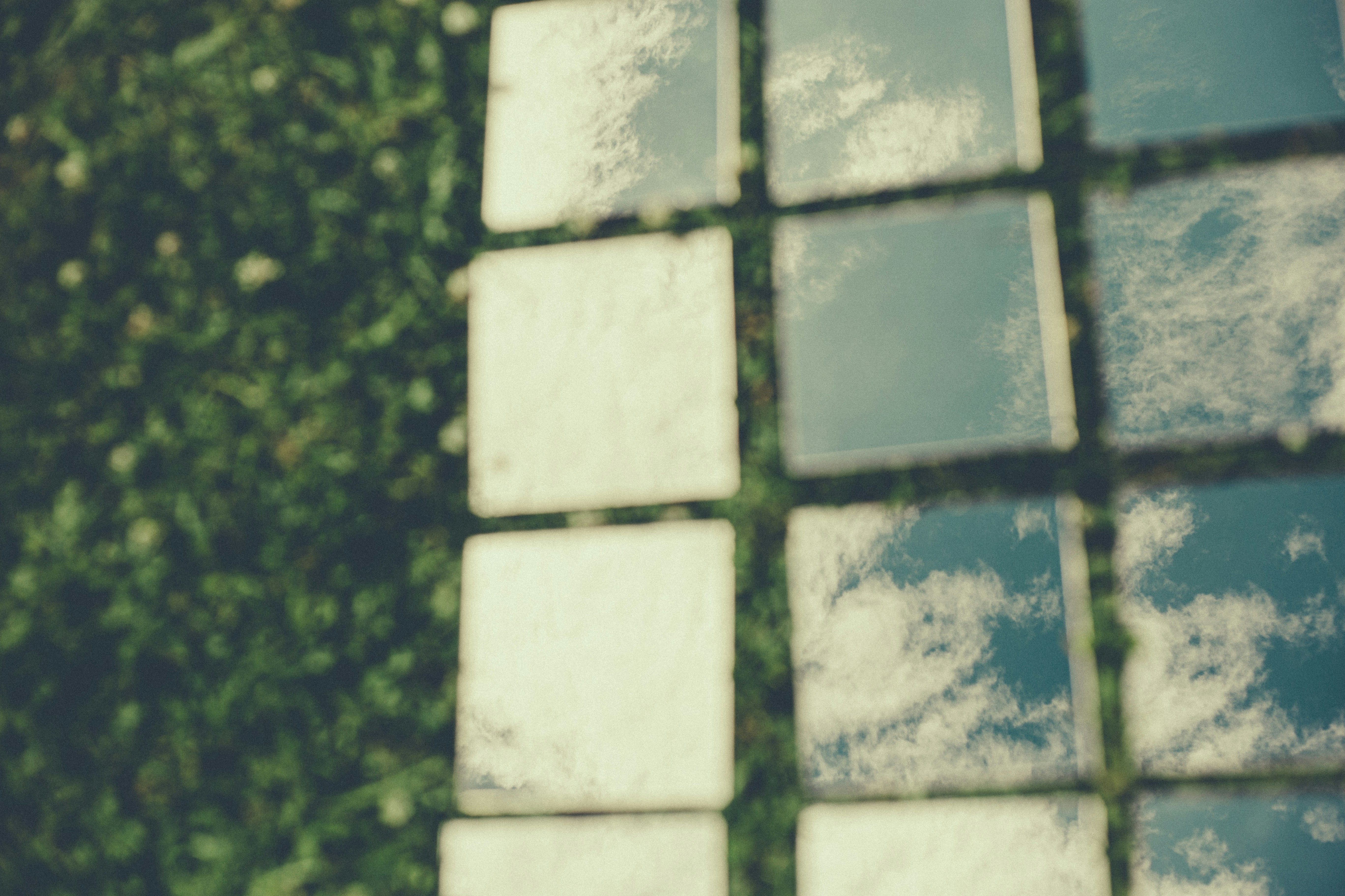 Blurred Tiles and Moss: Abstract Echoes of a Garden Path