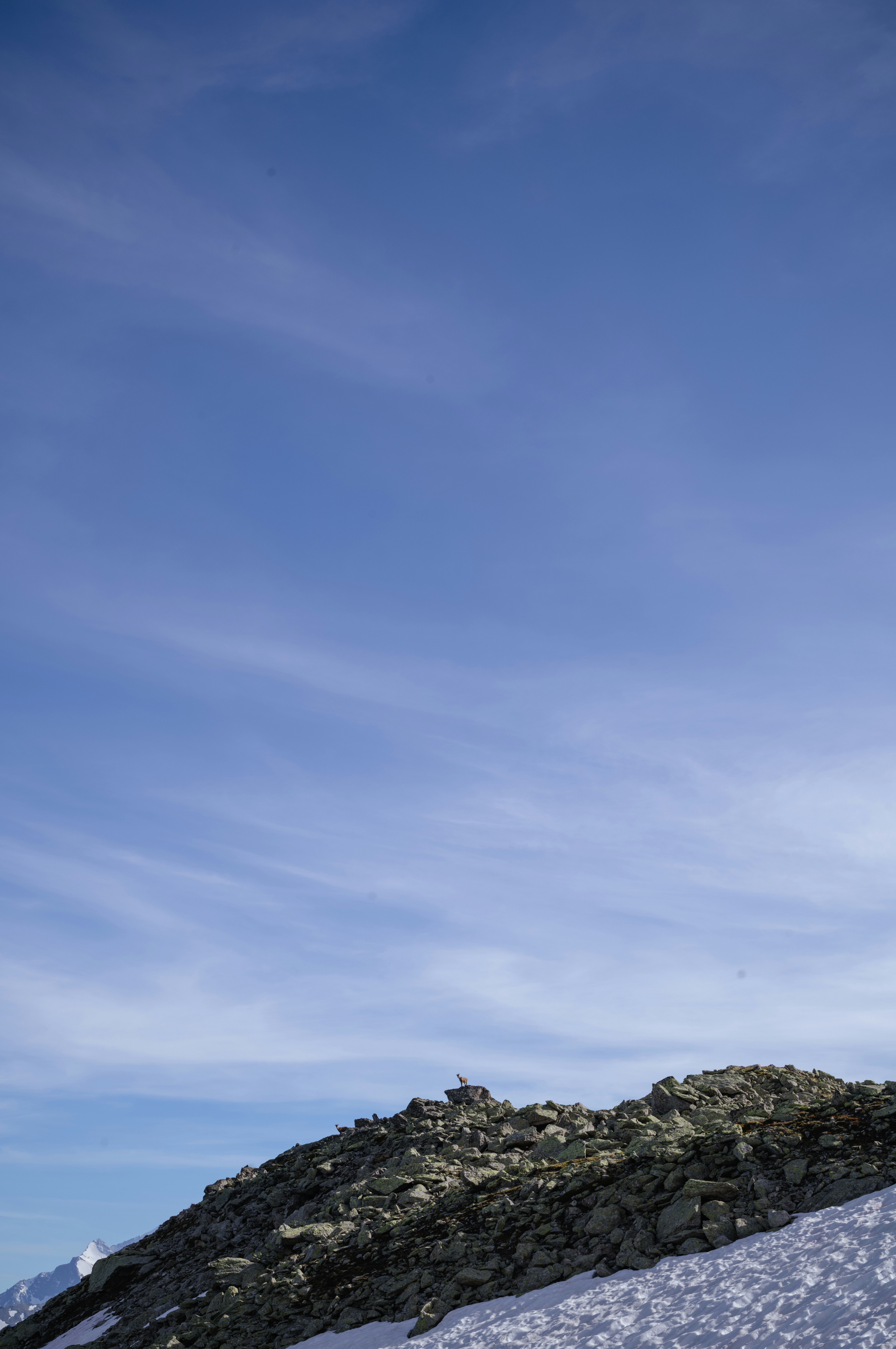 Ridgecrest Sentinel under a Brushed Sky