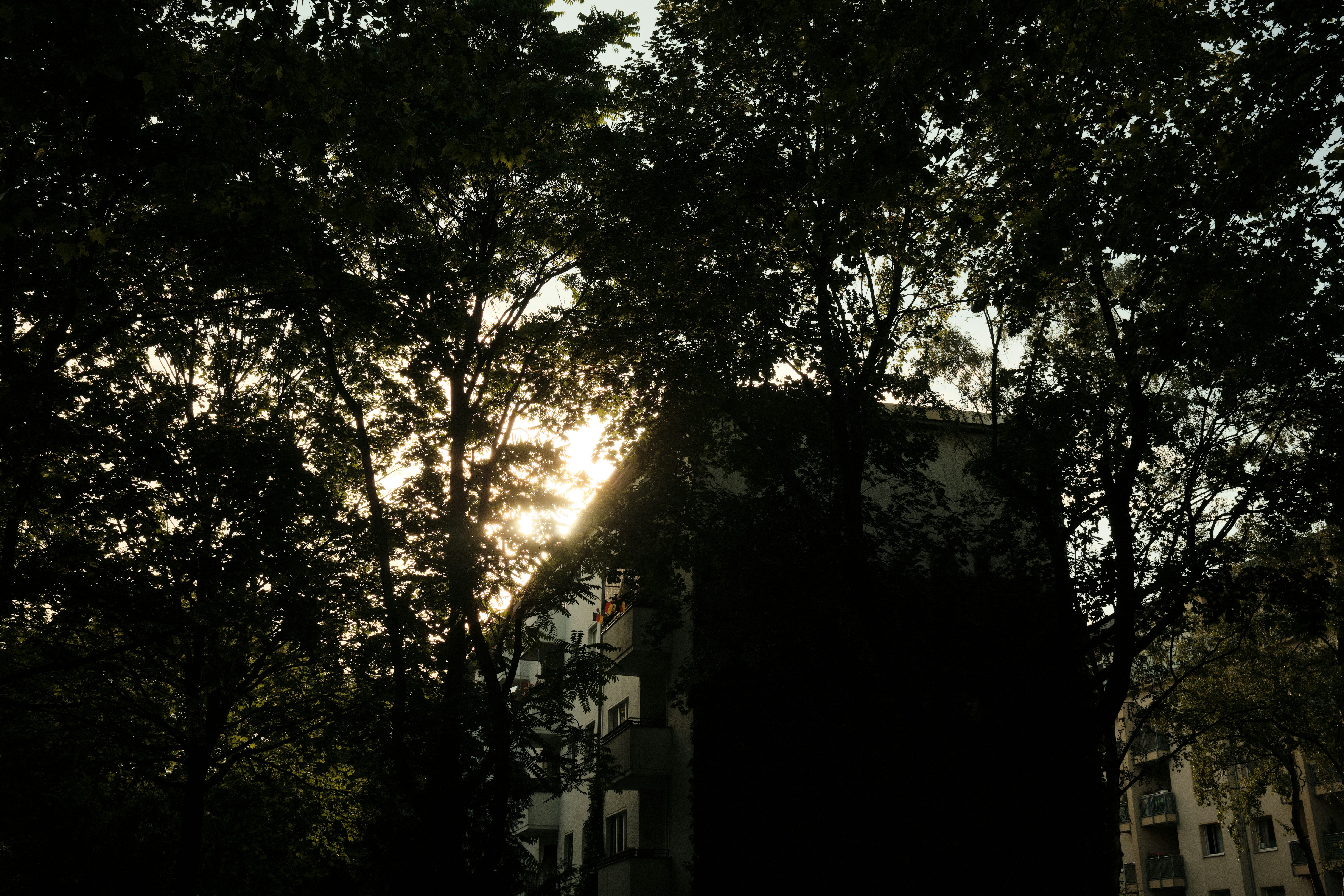 Sunrise Over the Quiet Facades