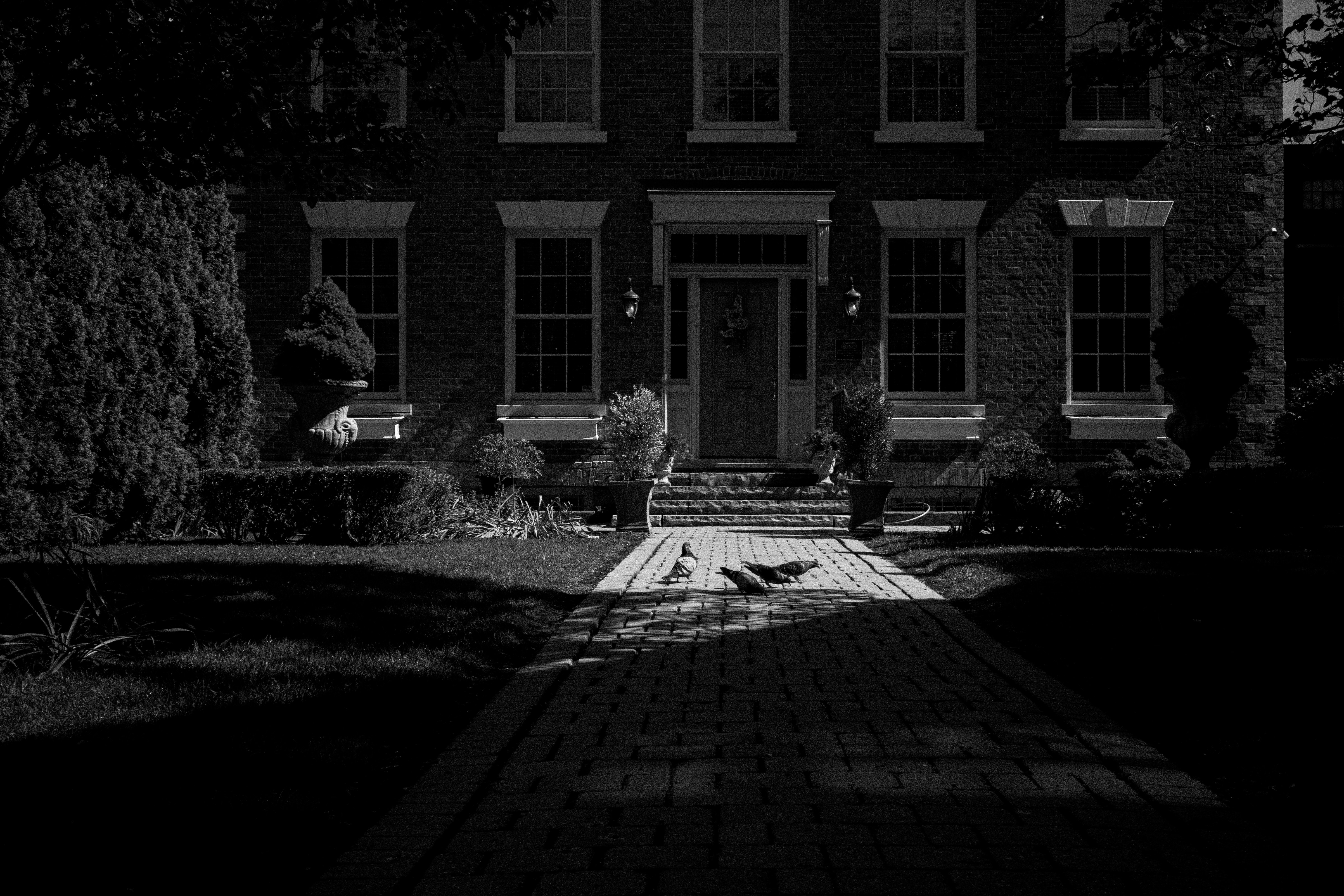 Shadowed Entryway: A Quiet Facade Under Narrow Daylight