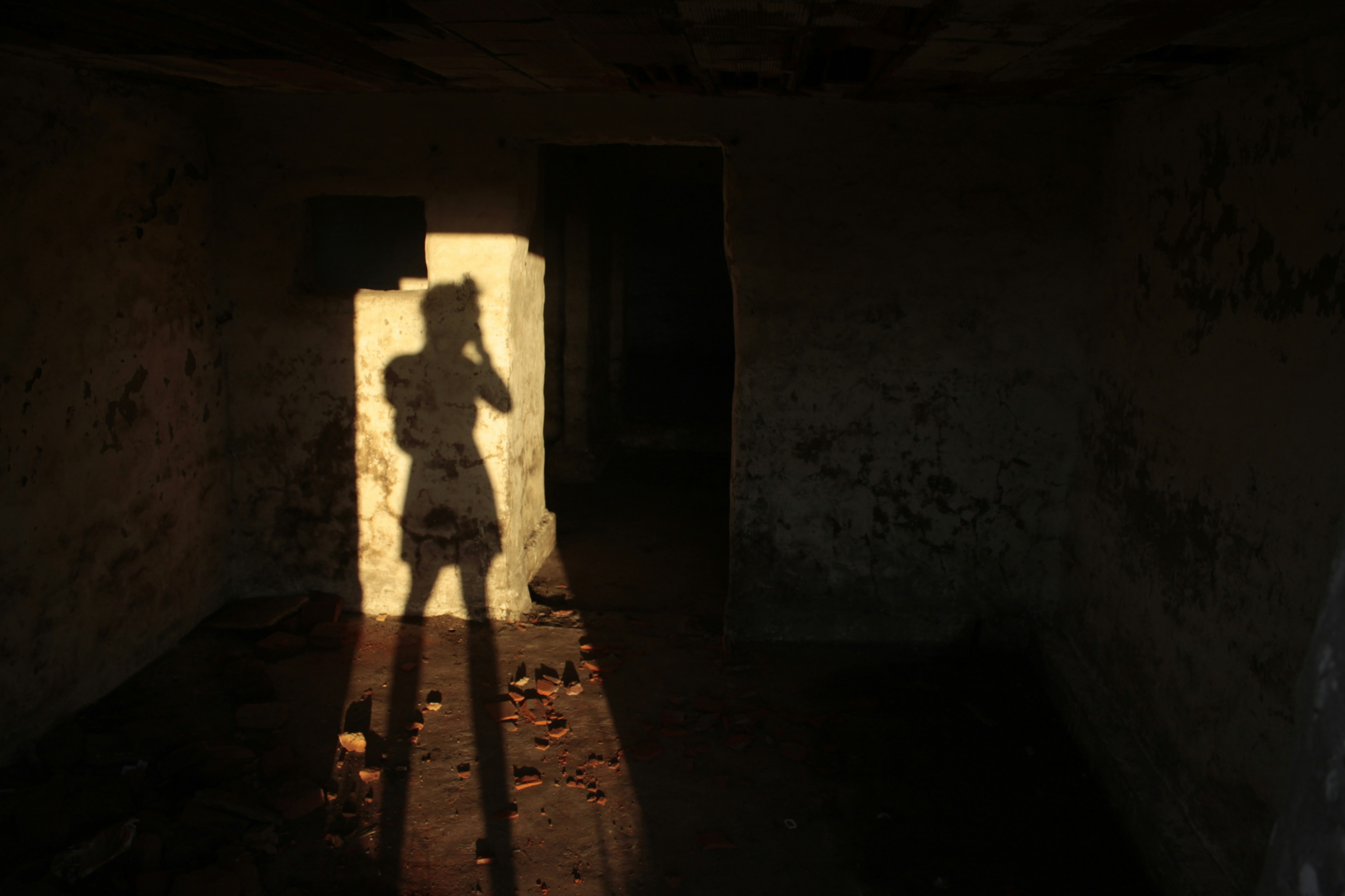 Shadow Cast on a Crumbling Corridor
