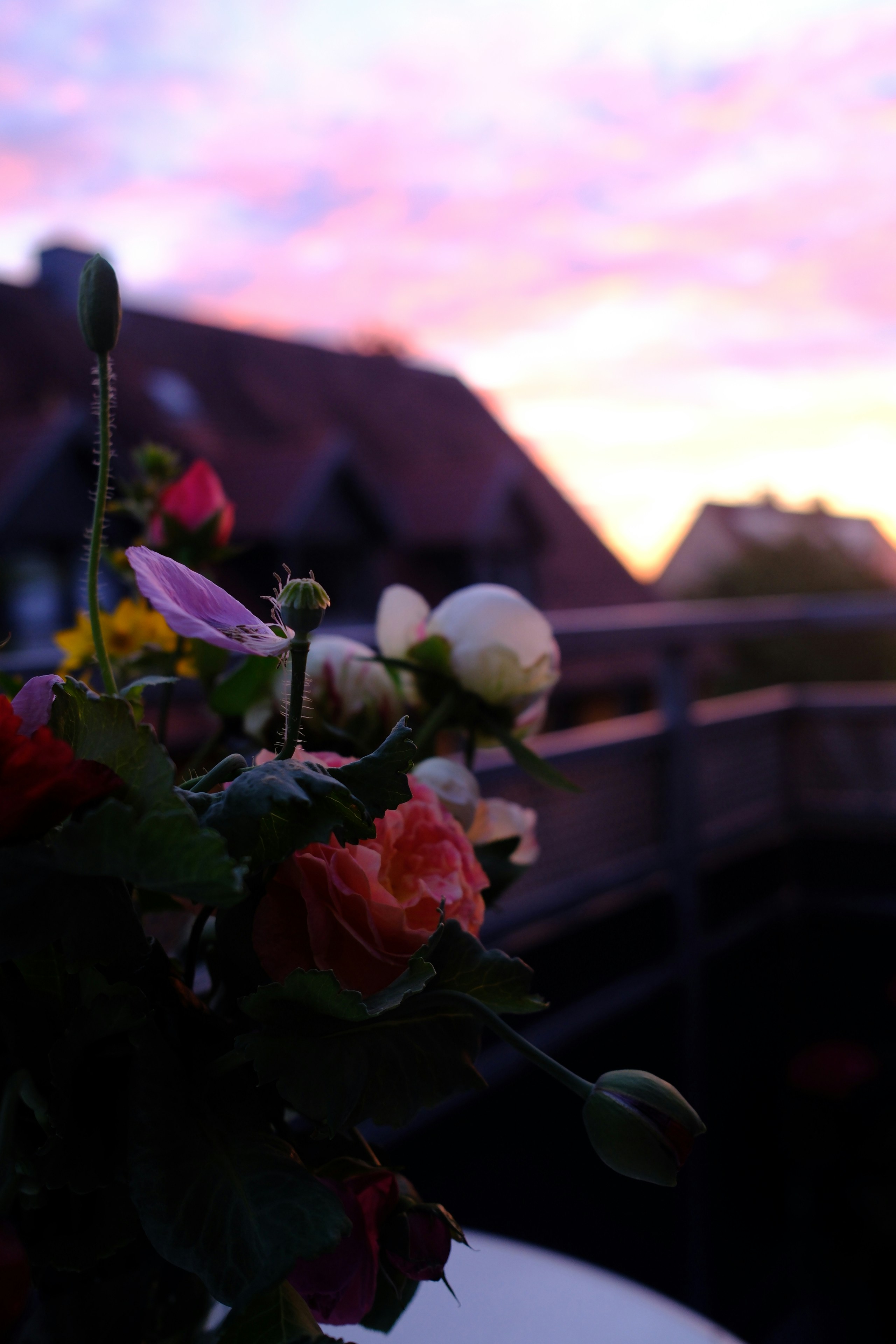 Bouquet in Twilight: Urban Balcony Glow