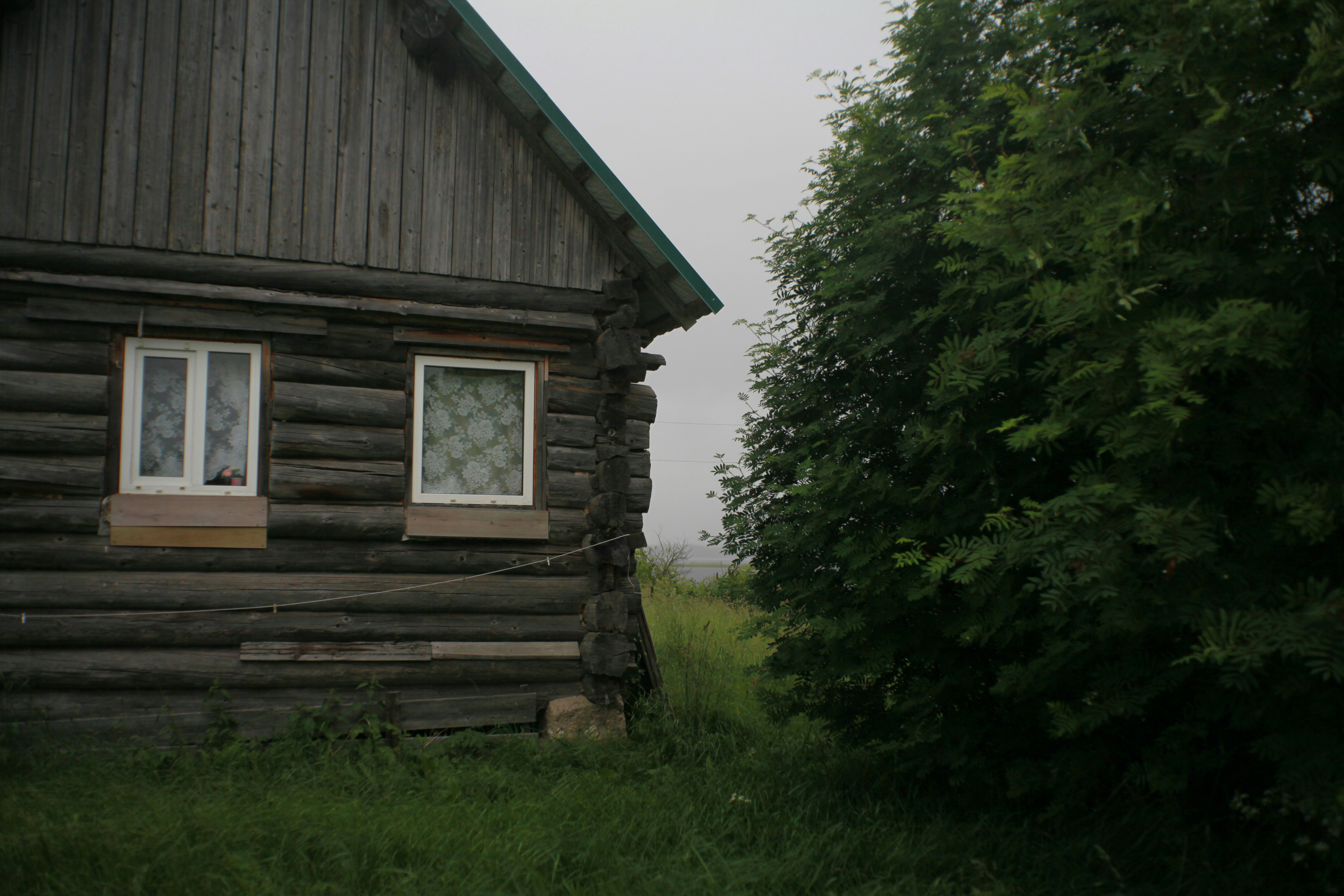 Quiet Log Cabin by the Overgrown Clearing