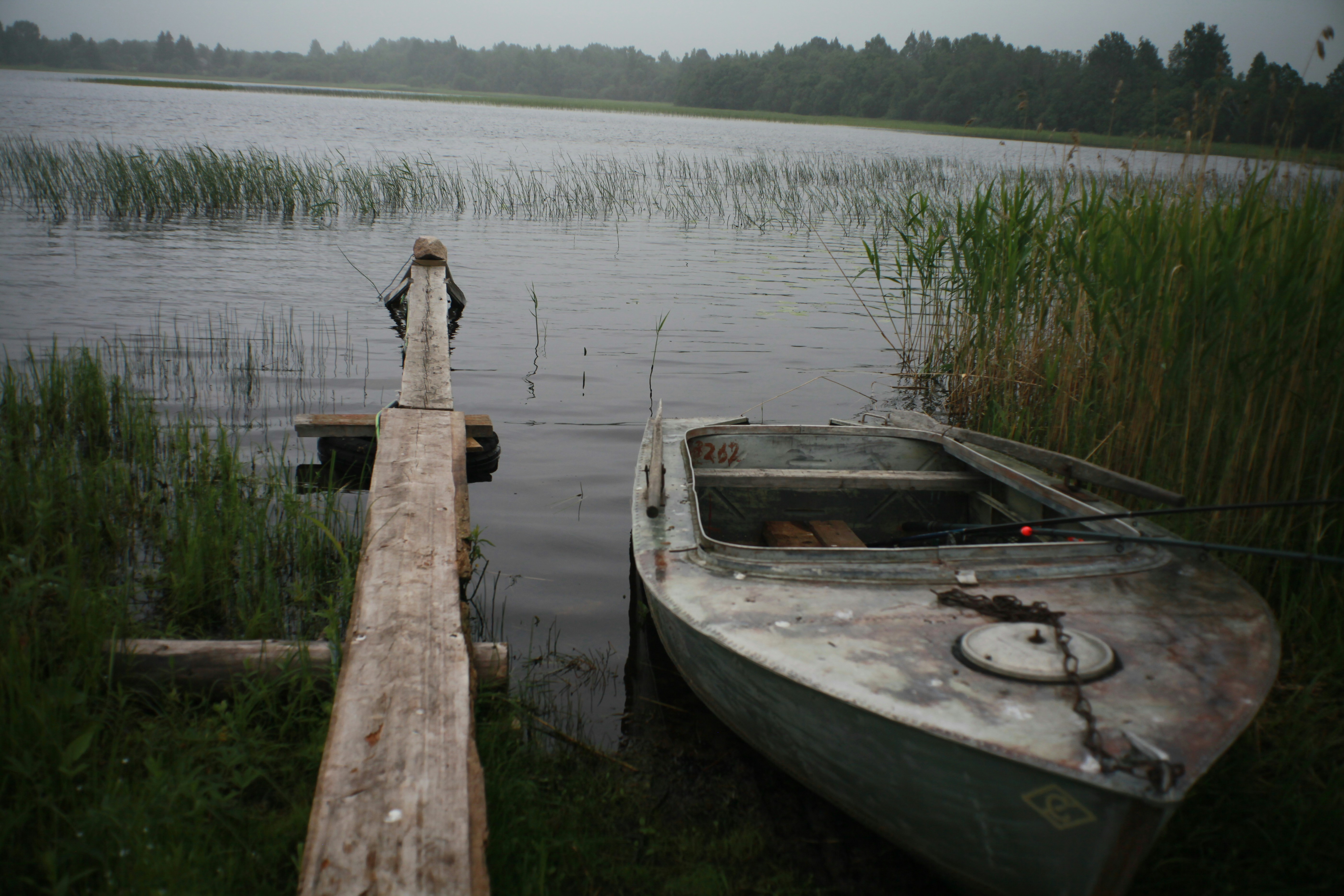 Weathered Molasses at the Waterline: A Quiet Dock on a Misty Lake