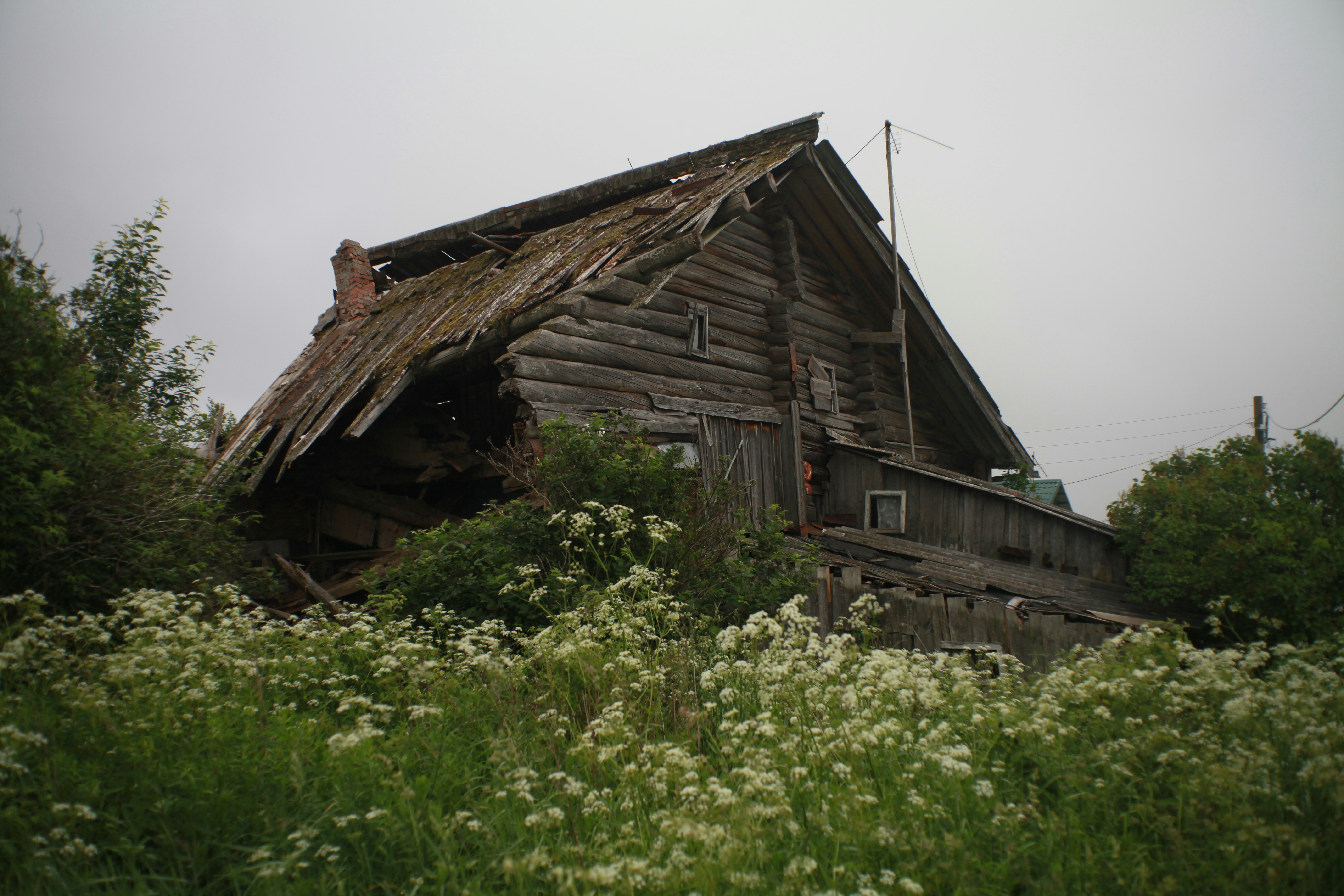 A Weathered Barn Quietly Reclaims the Field