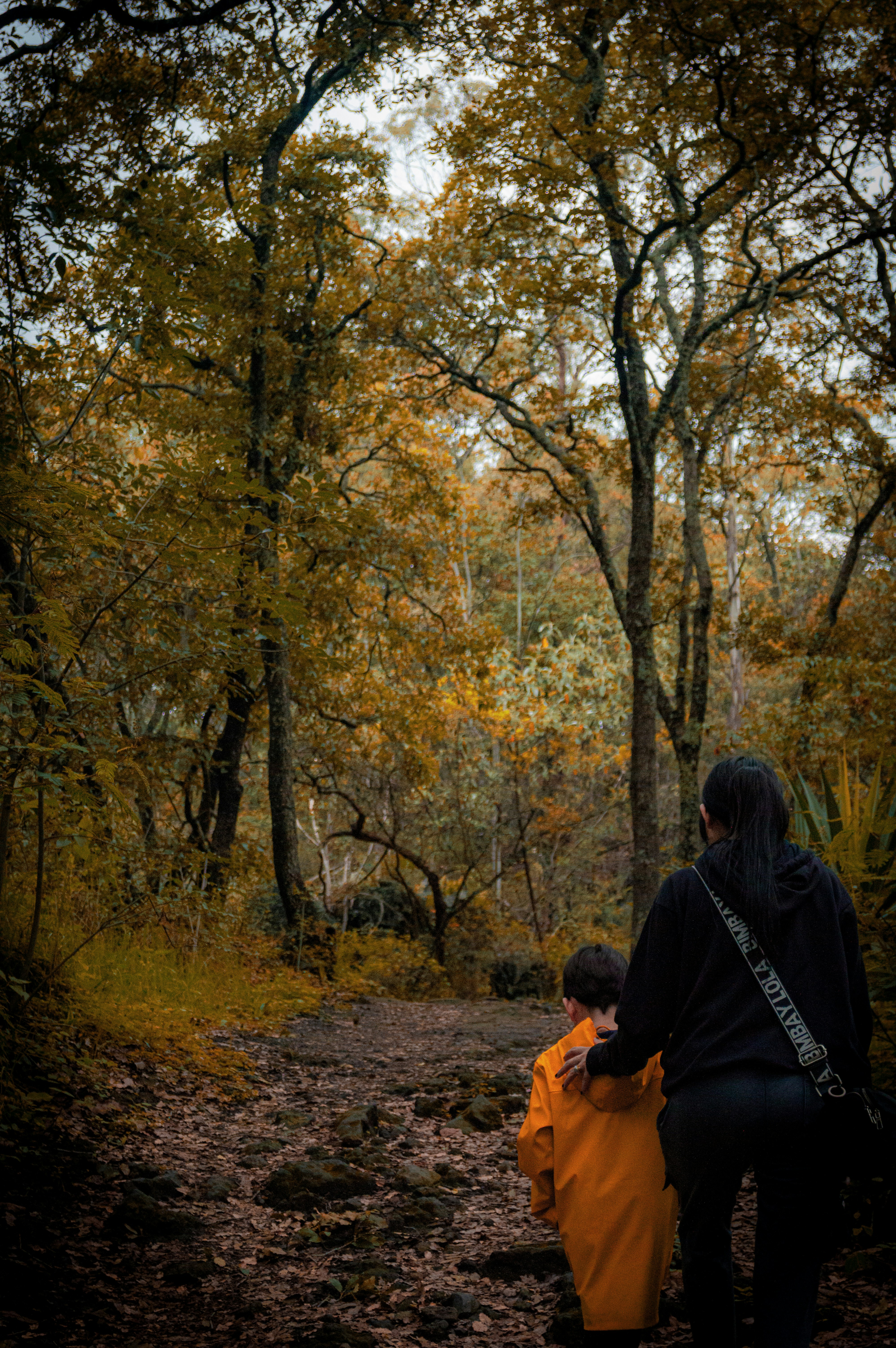 Two silhouettes in autumn woodland: a caregiver and child walk along a leaf-strewn path