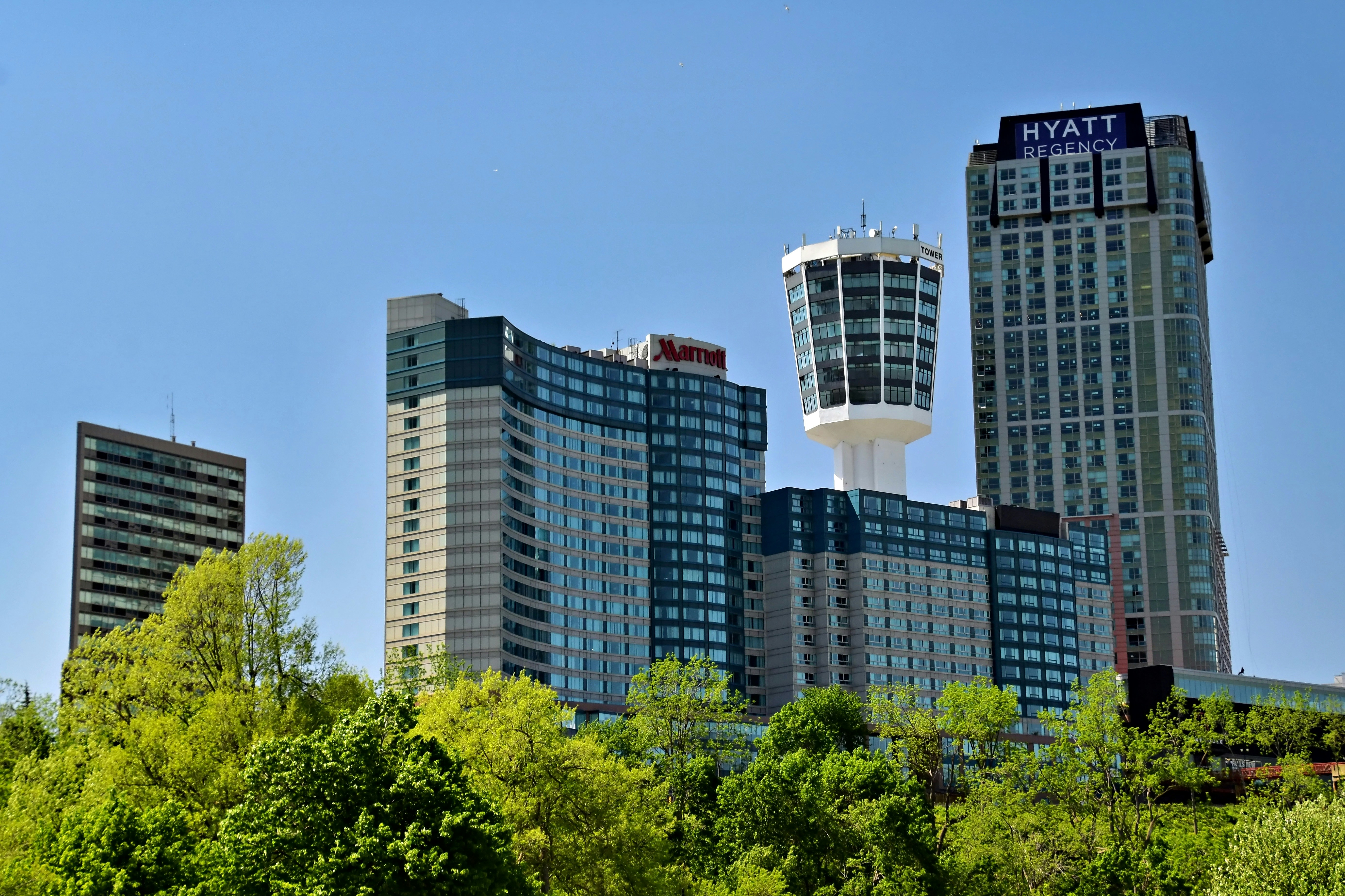 Skyline Sentinel: Tower and Transit Hub Rising Above a Green Canopy