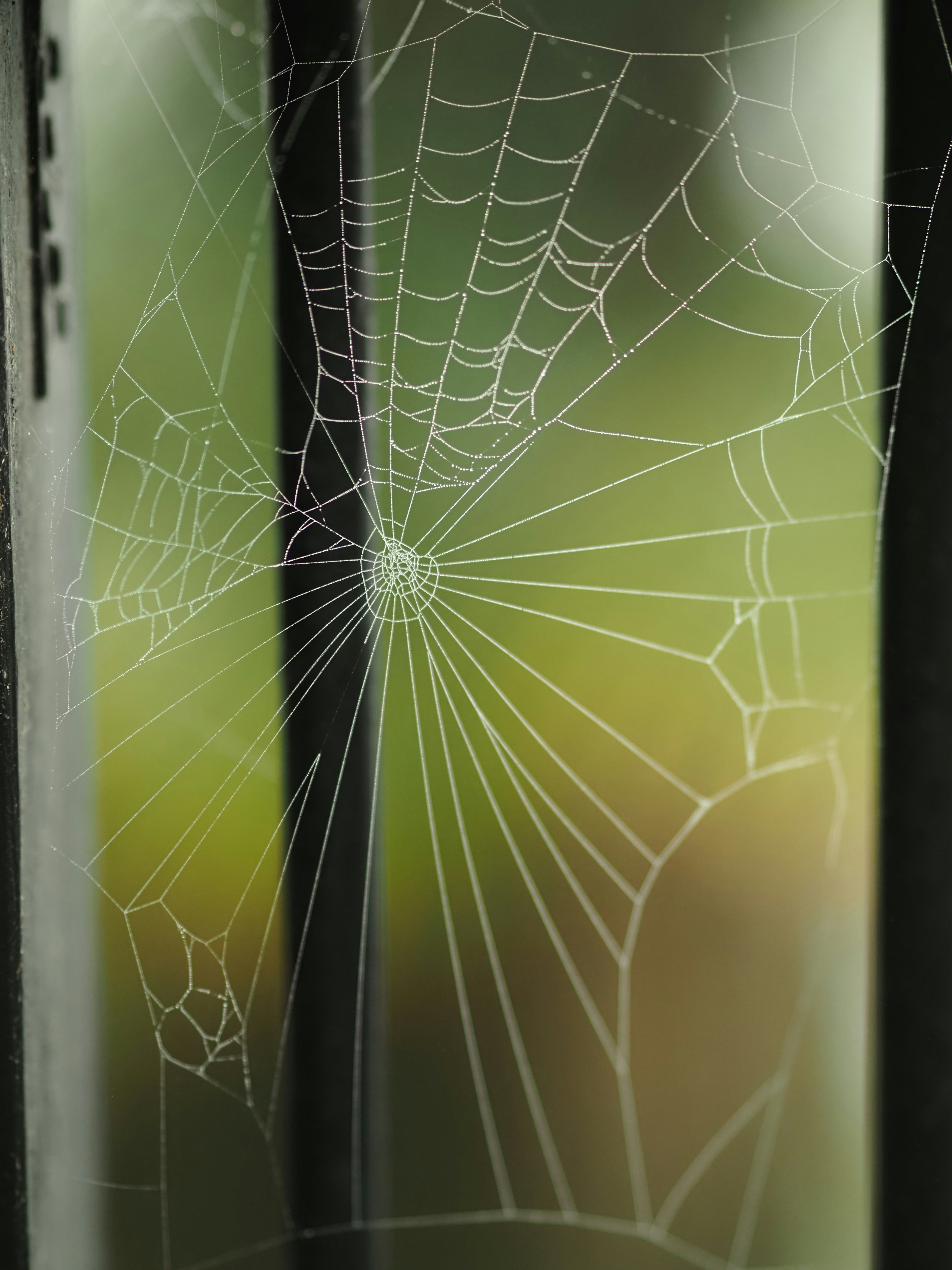 Spider Silk on Glass: a close-up of a cracked web framed by vertical bars