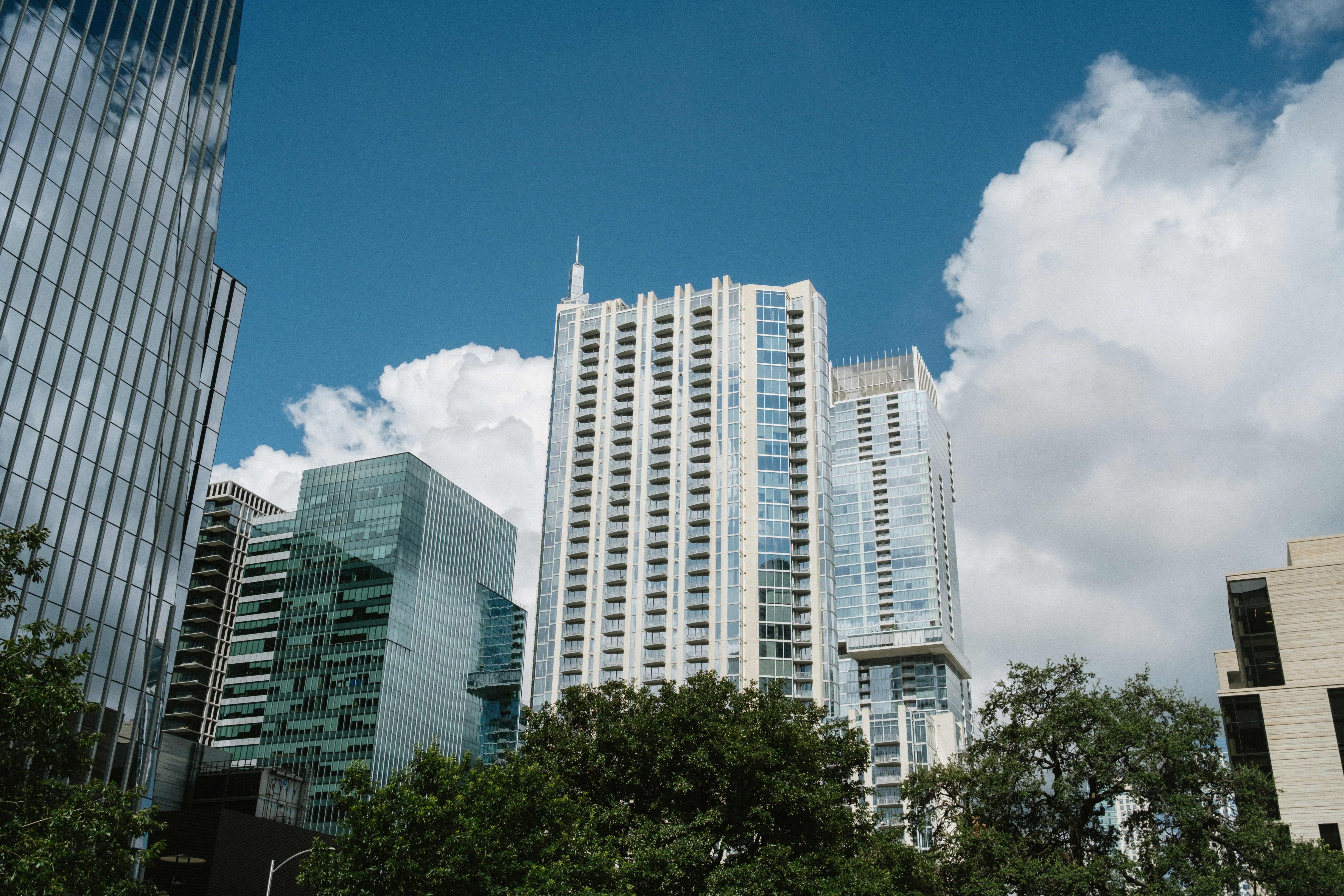 Skyline Pulse: Glass and Green Amid Tall Pines