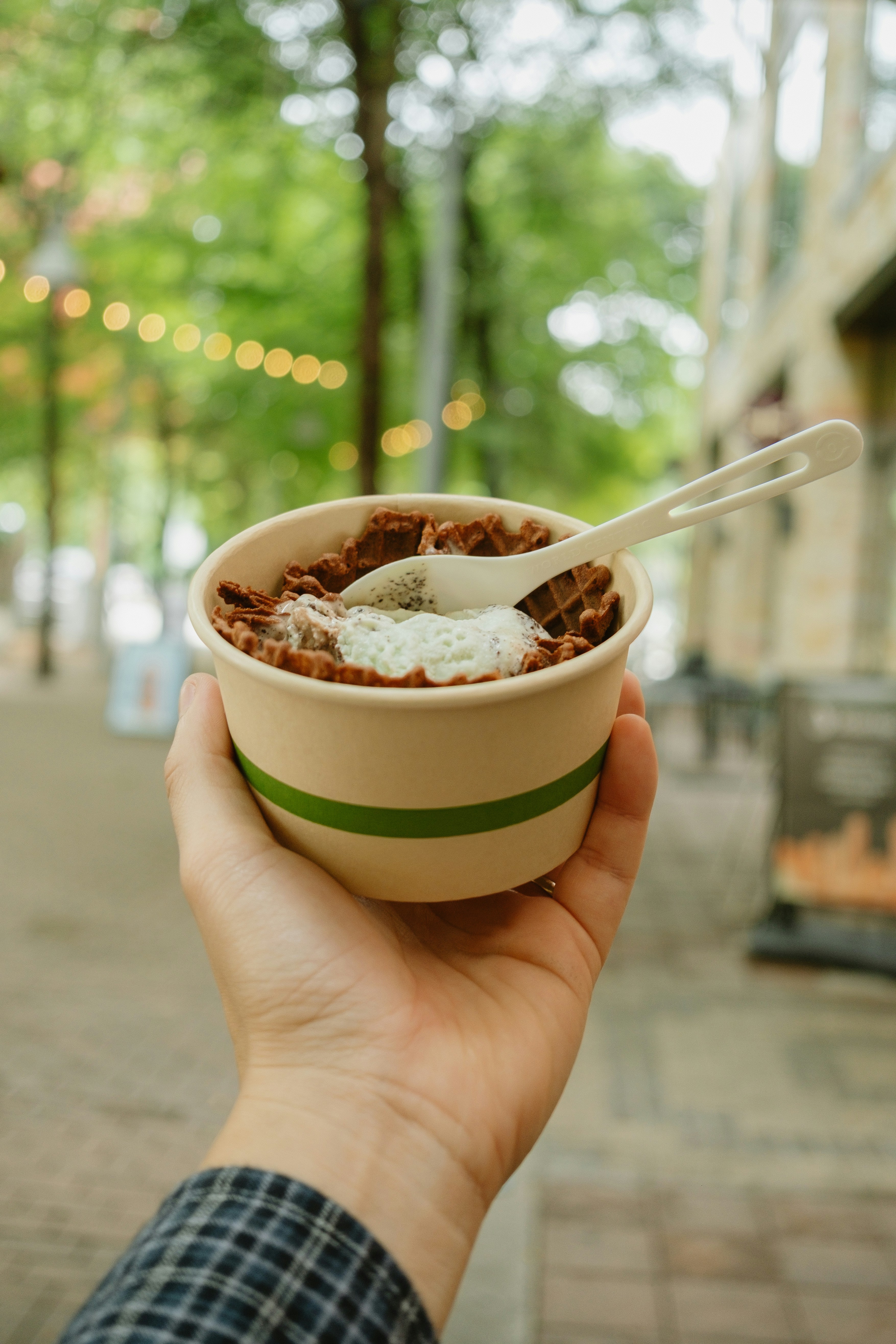 Handheld Cup of Chocolate Delight in a Garden Walk