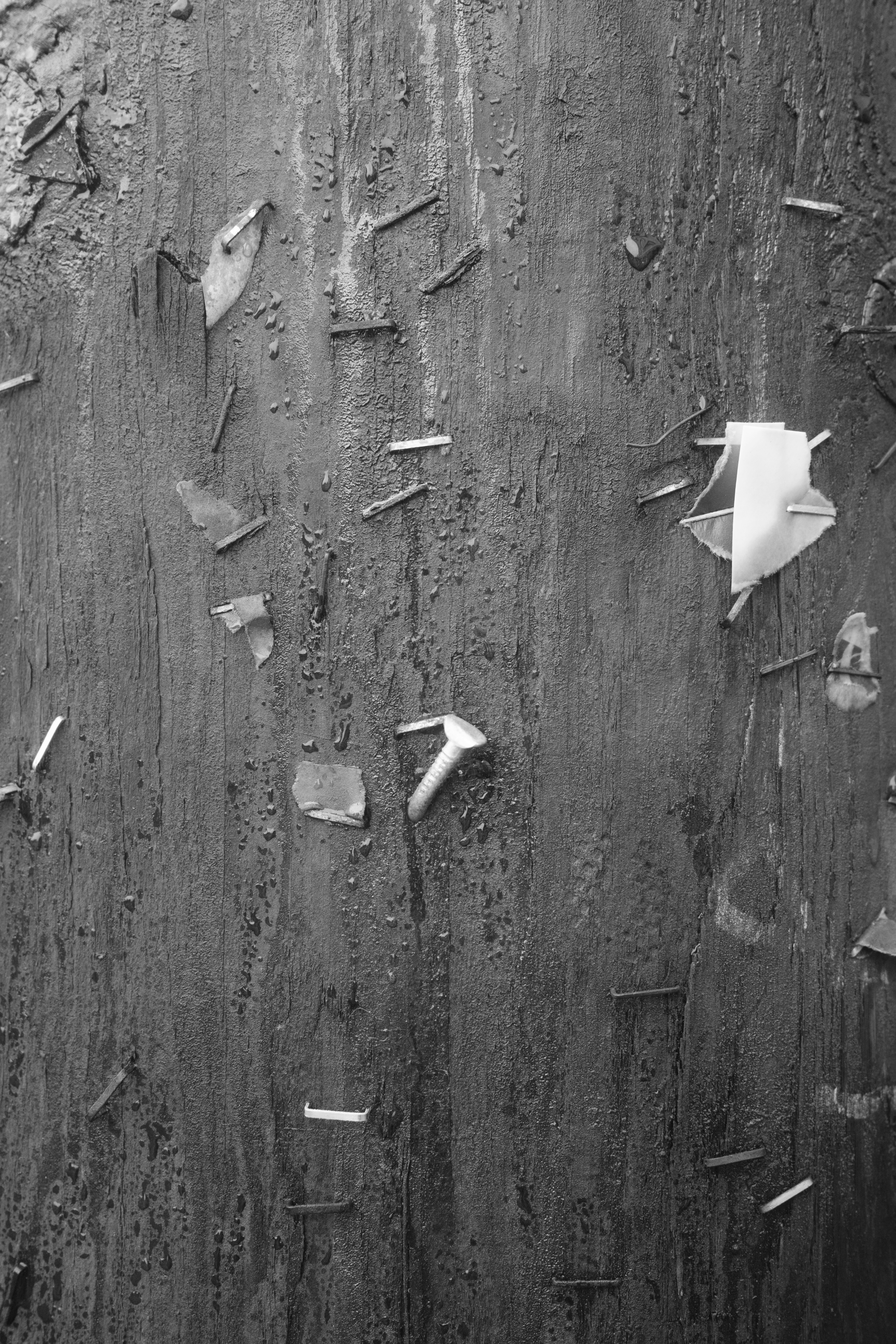 Grungy wooden surface with numerous staples and paper remnants.