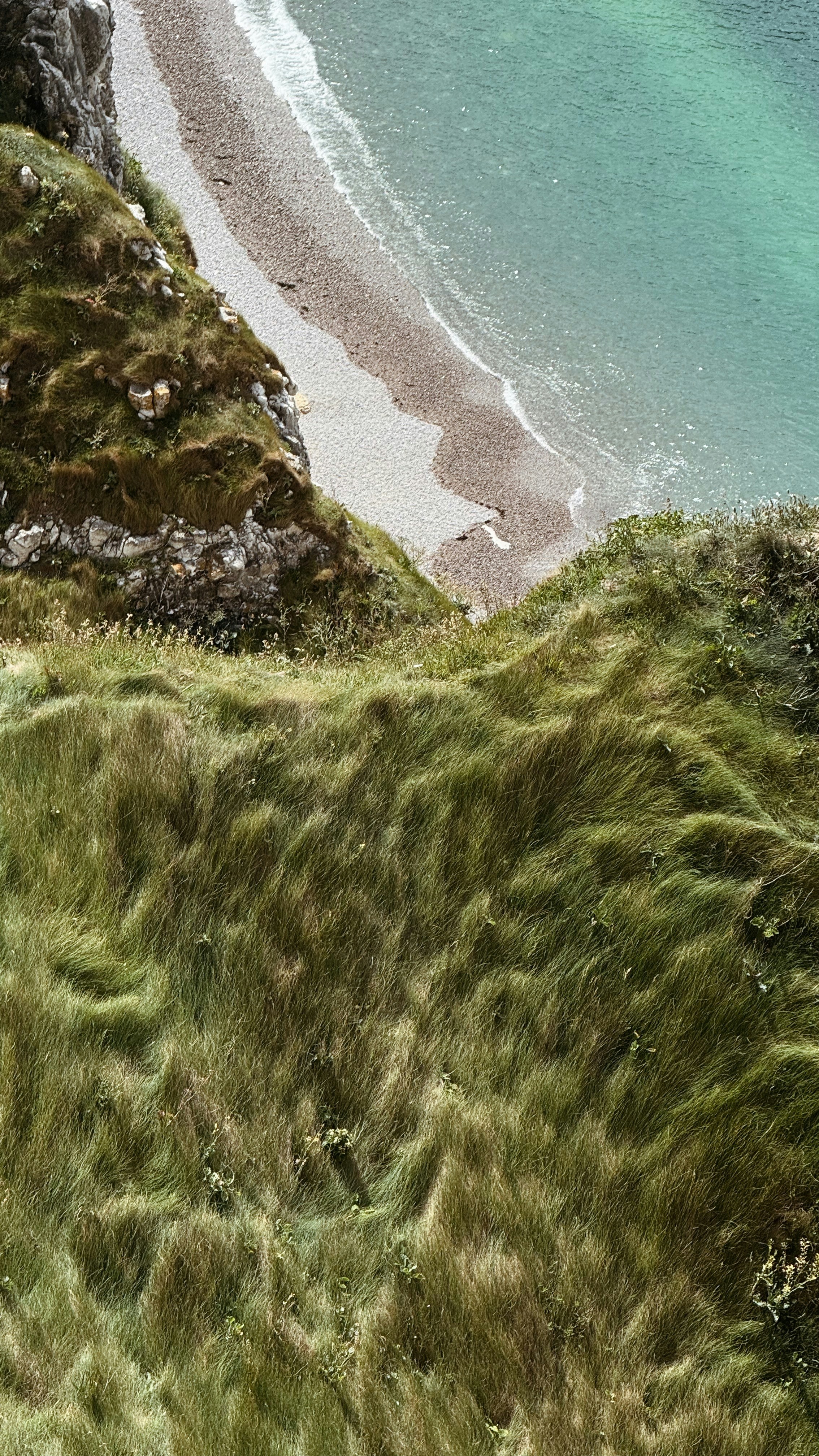 Cliffside Verge: Sea Spray and Grass