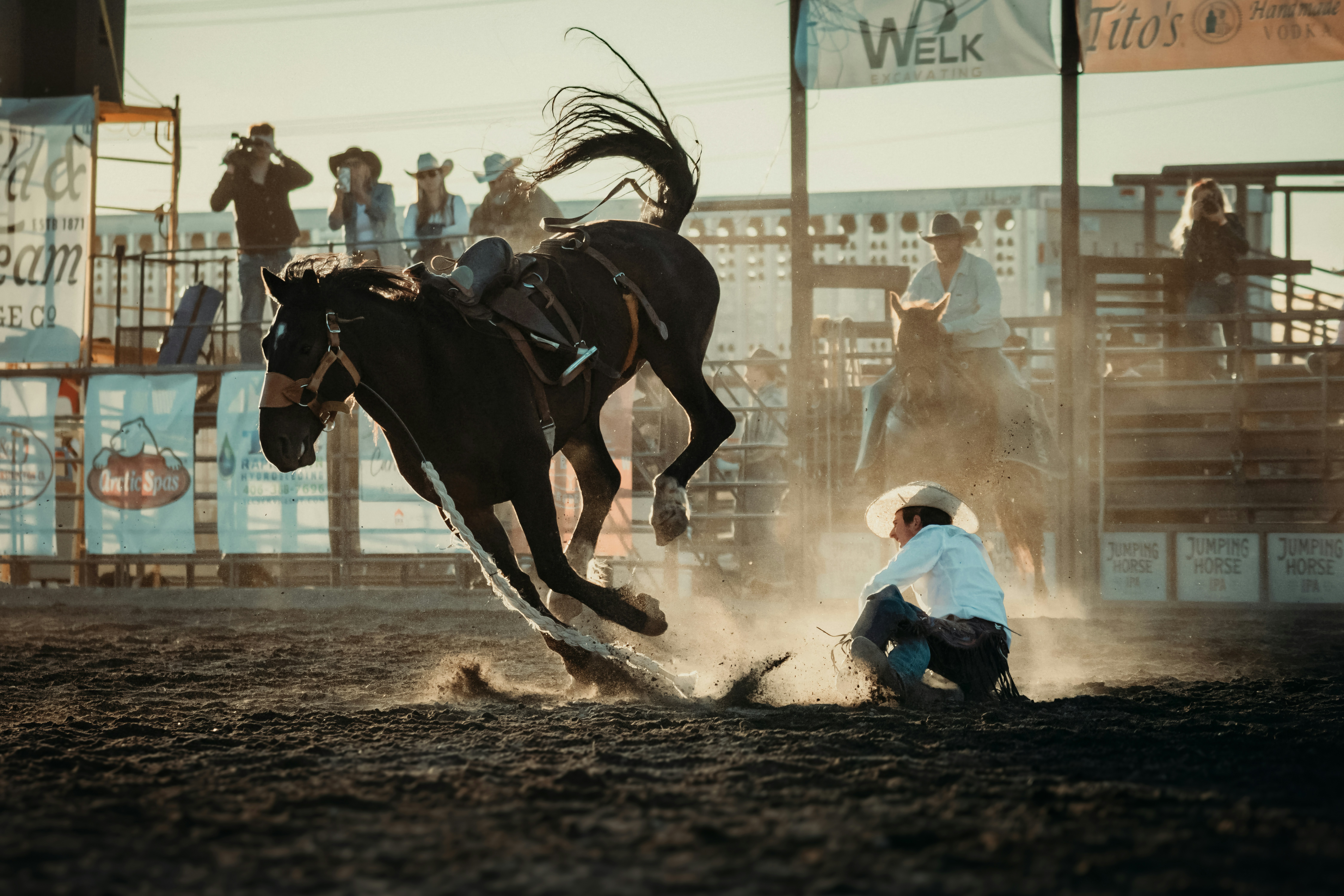 Horse 1, Cowboy 0